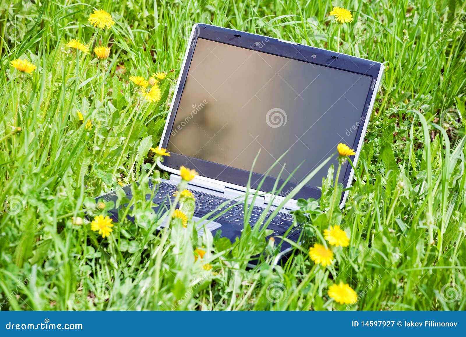 Laptop on grass stock image. Image of nature, natural - 14597927