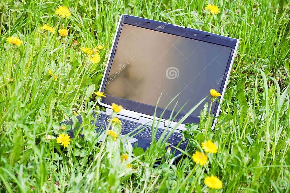 Laptop on grass stock image. Image of nature, natural - 14597927