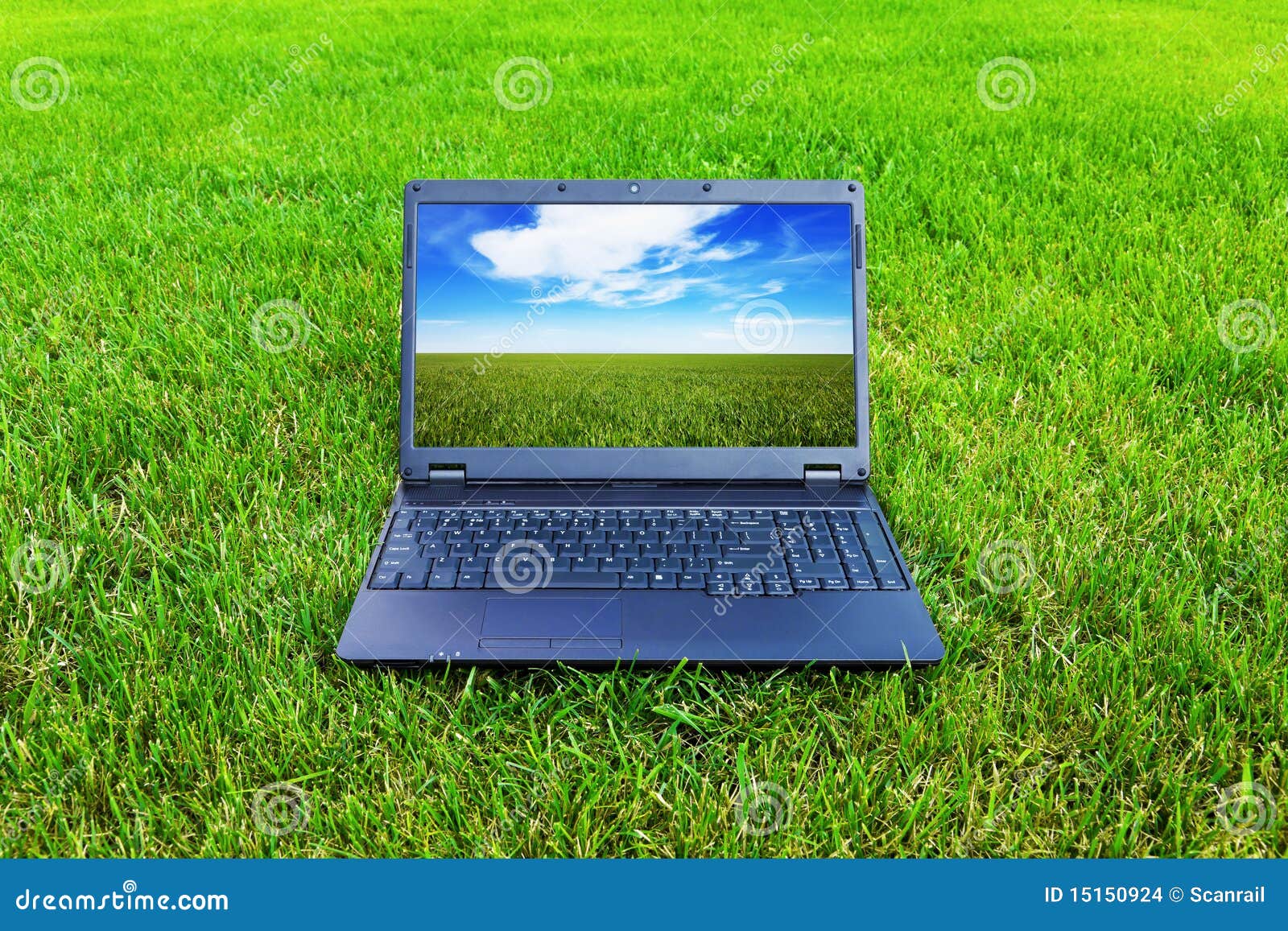 Laptop on grass stock photo. Image of green, business - 15150924