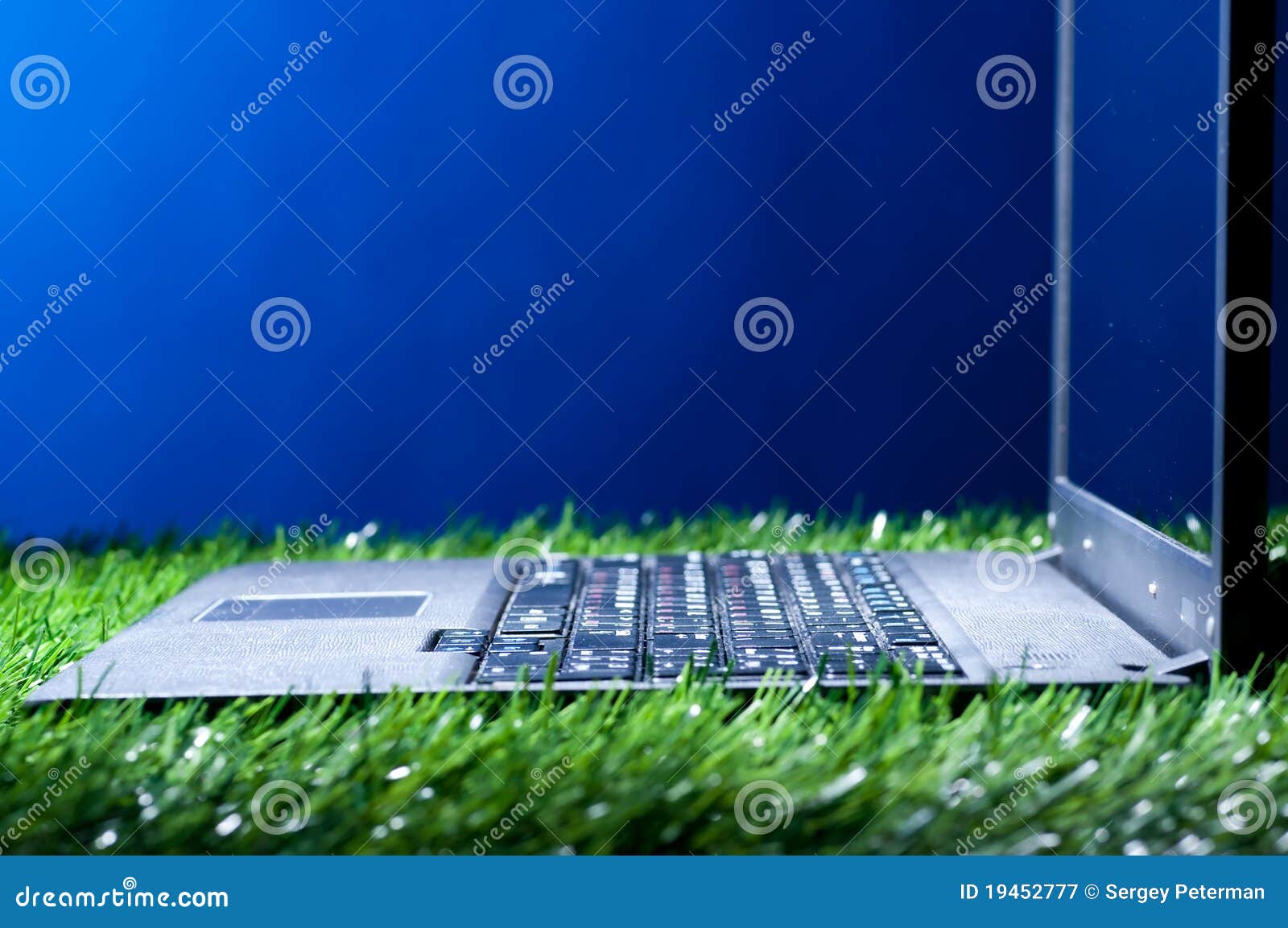 Laptop in grass stock image. Image of plant, freedom - 19452777