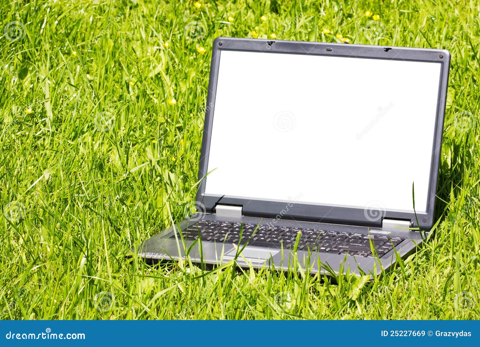 Laptop on the grass stock image. Image of network, access - 25227669