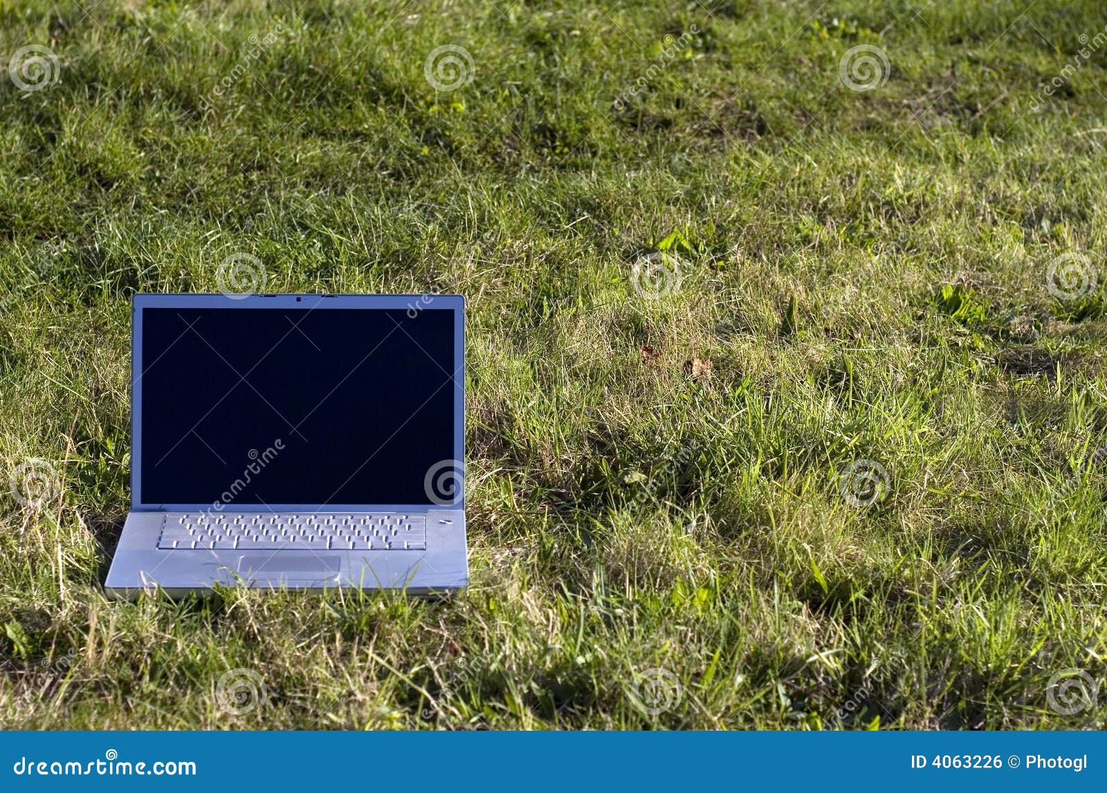 Laptop on grass stock photo. Image of grassland, vegetation - 4063226