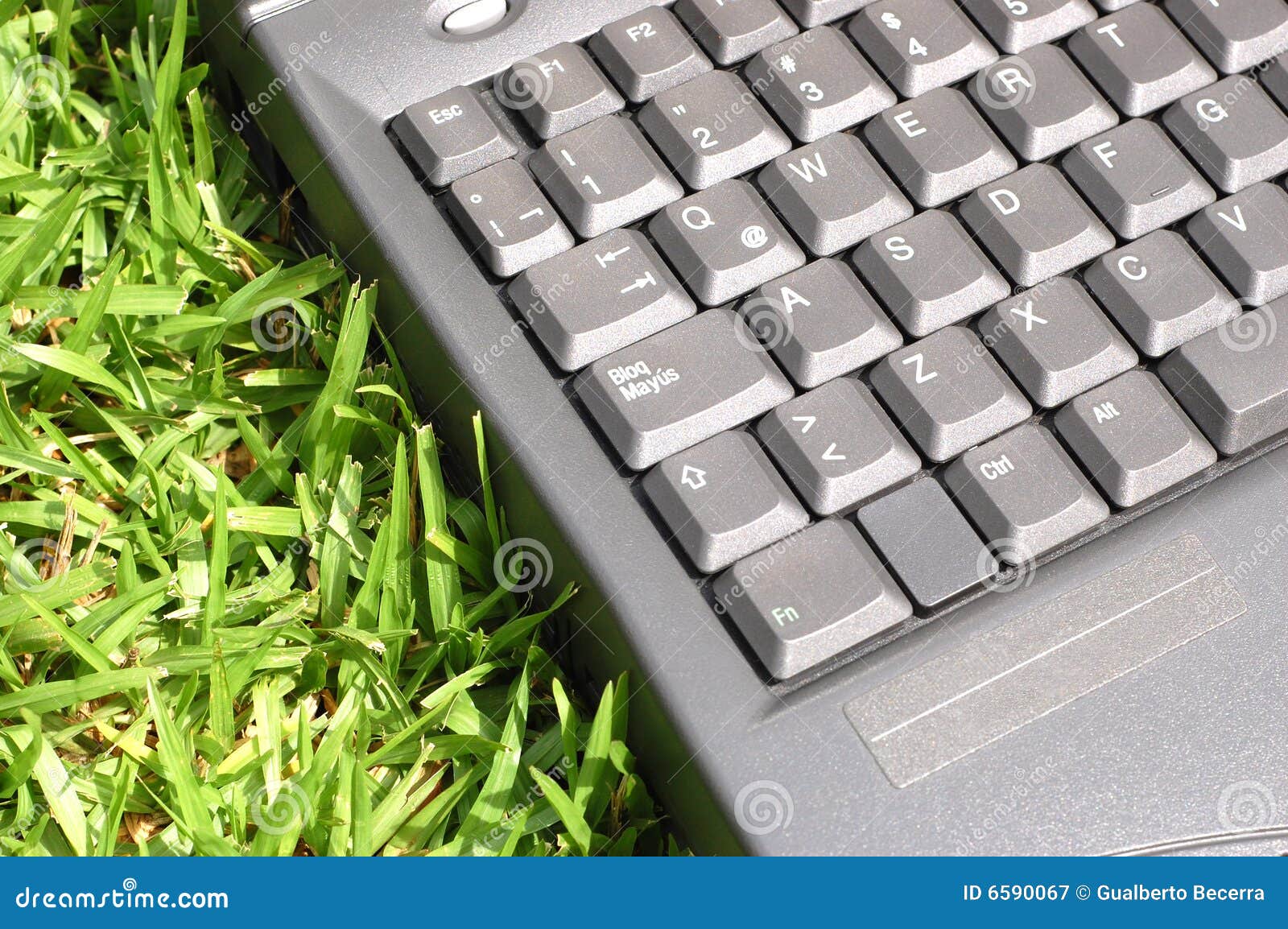 Laptop on Grass stock image. Image of nature, environment - 6590067