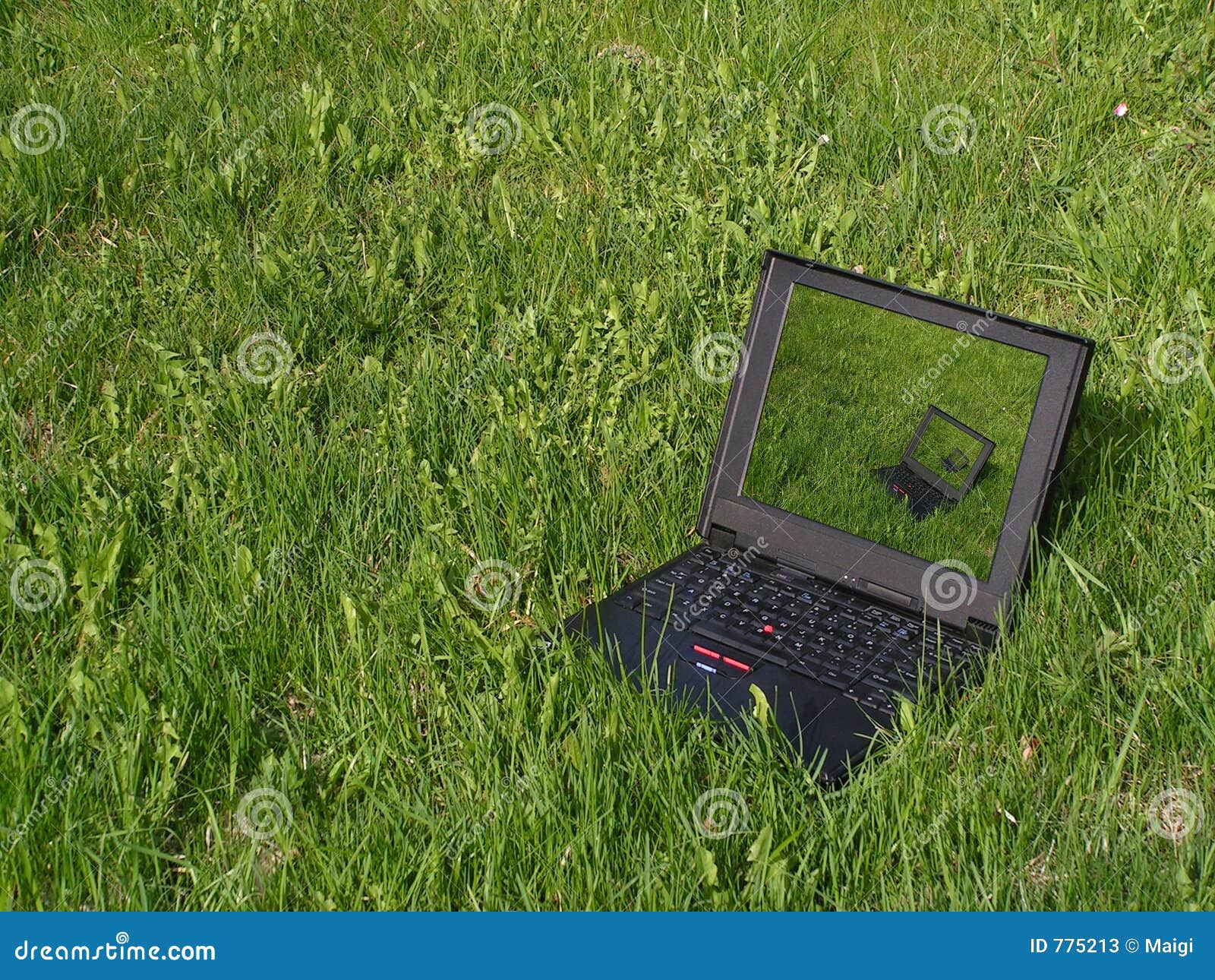 Laptop on the grass stock image. Image of nature, enjoy - 775213