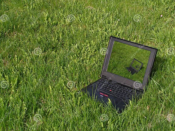 Laptop on the grass stock image. Image of nature, enjoy - 775213