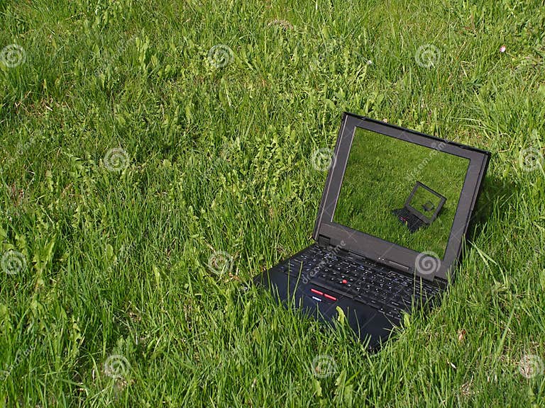 Laptop on the grass stock image. Image of nature, enjoy - 775213