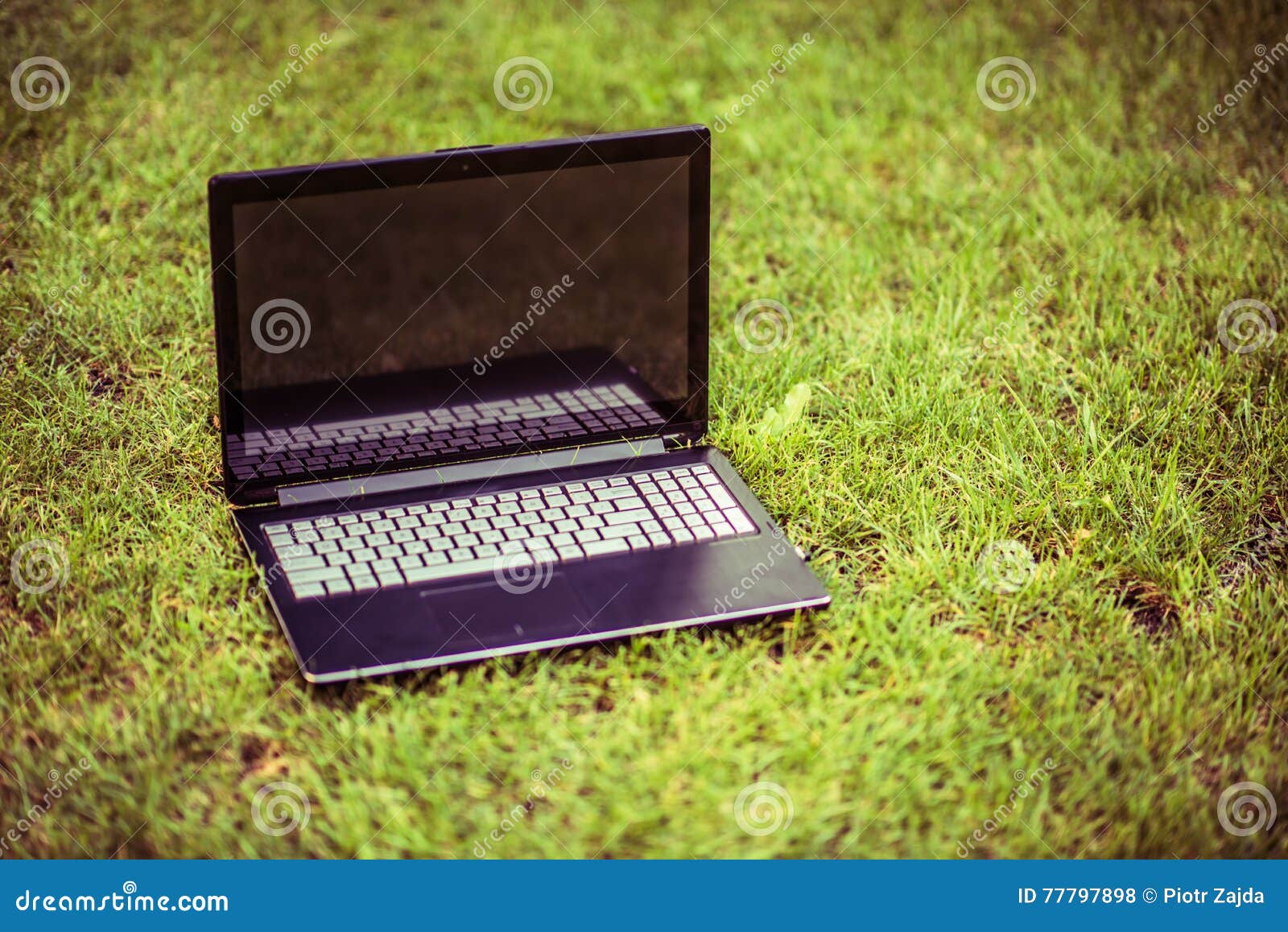 Laptop on the Grass stock photo. Image of grass, outdoor - 77797898