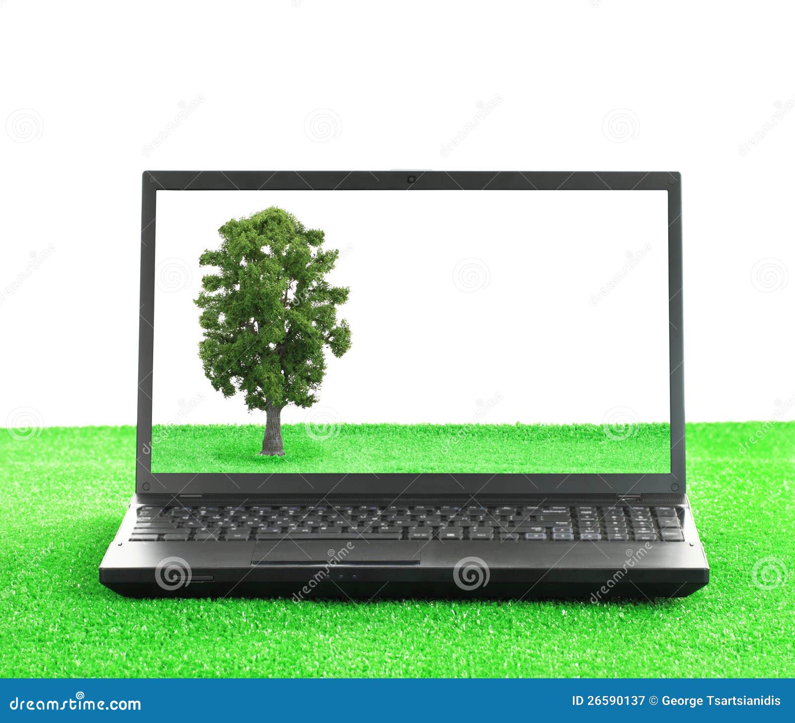 Laptop on the Grass with a Tree Stock Image - Image of live, meadow ...