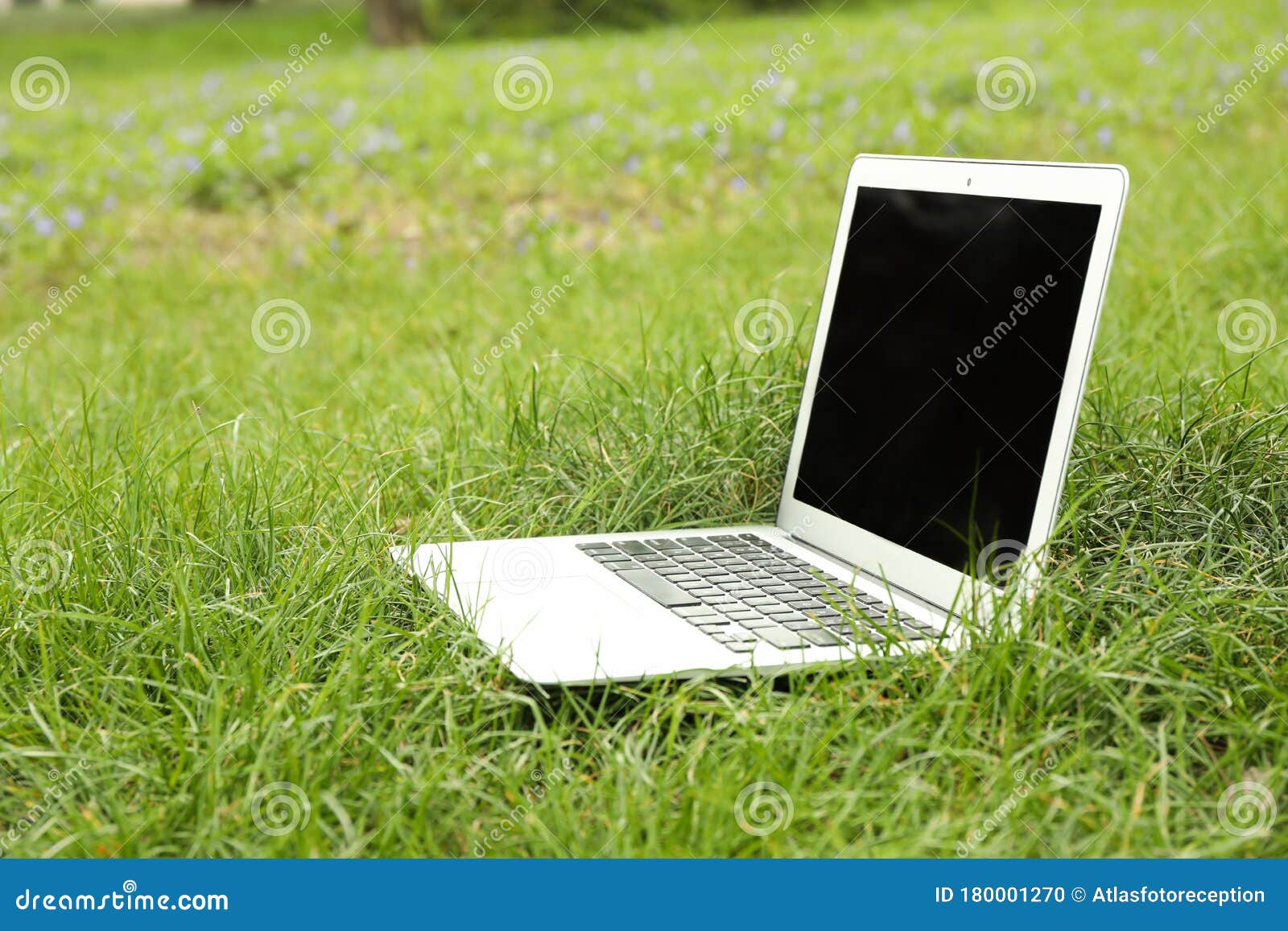 Laptop on Green Grass in Park. Working Stock Photo - Image of young ...