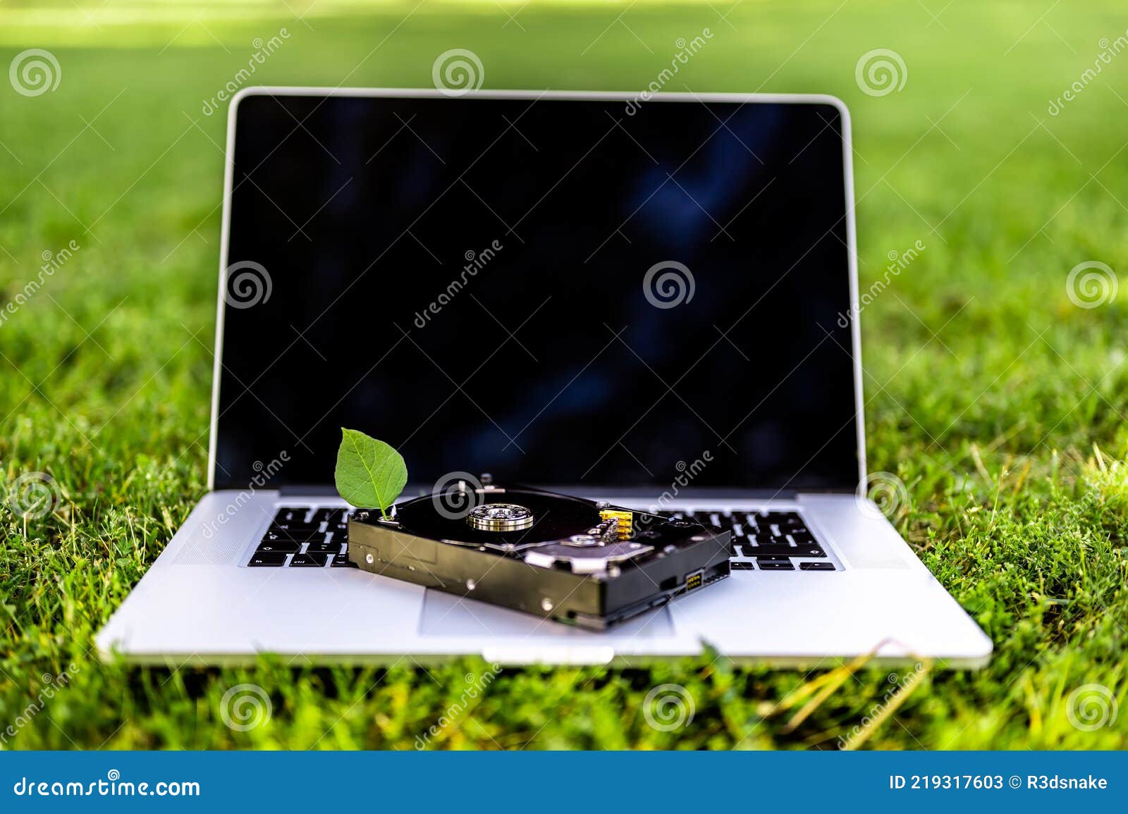 Laptop and a Hard Disk Drive with a Chia Leaf on the Grass Stock Image ...