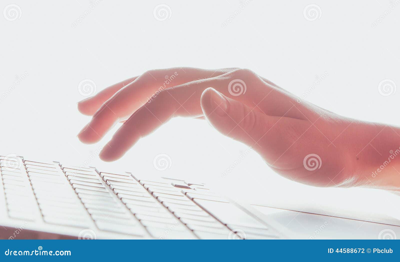 Laptop keyboard and hand stock photo. Image of information - 44588672