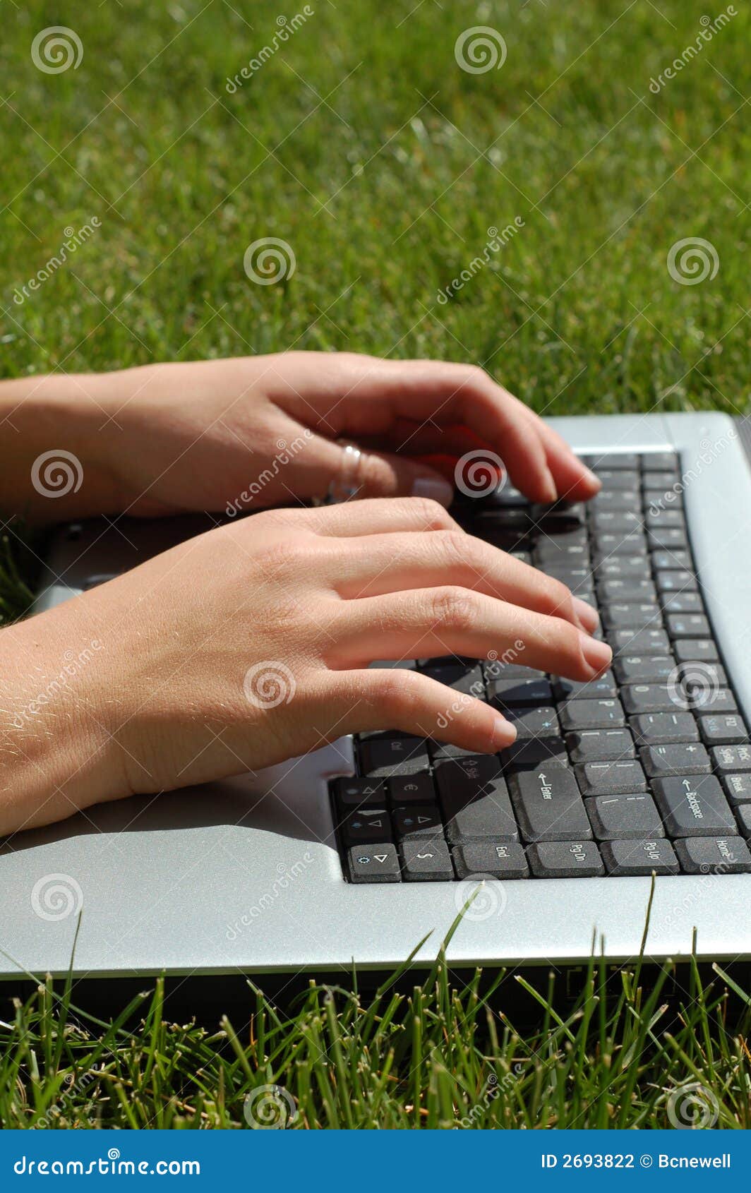 Laptop in the Lawn stock photo. Image of internet, email - 2693822