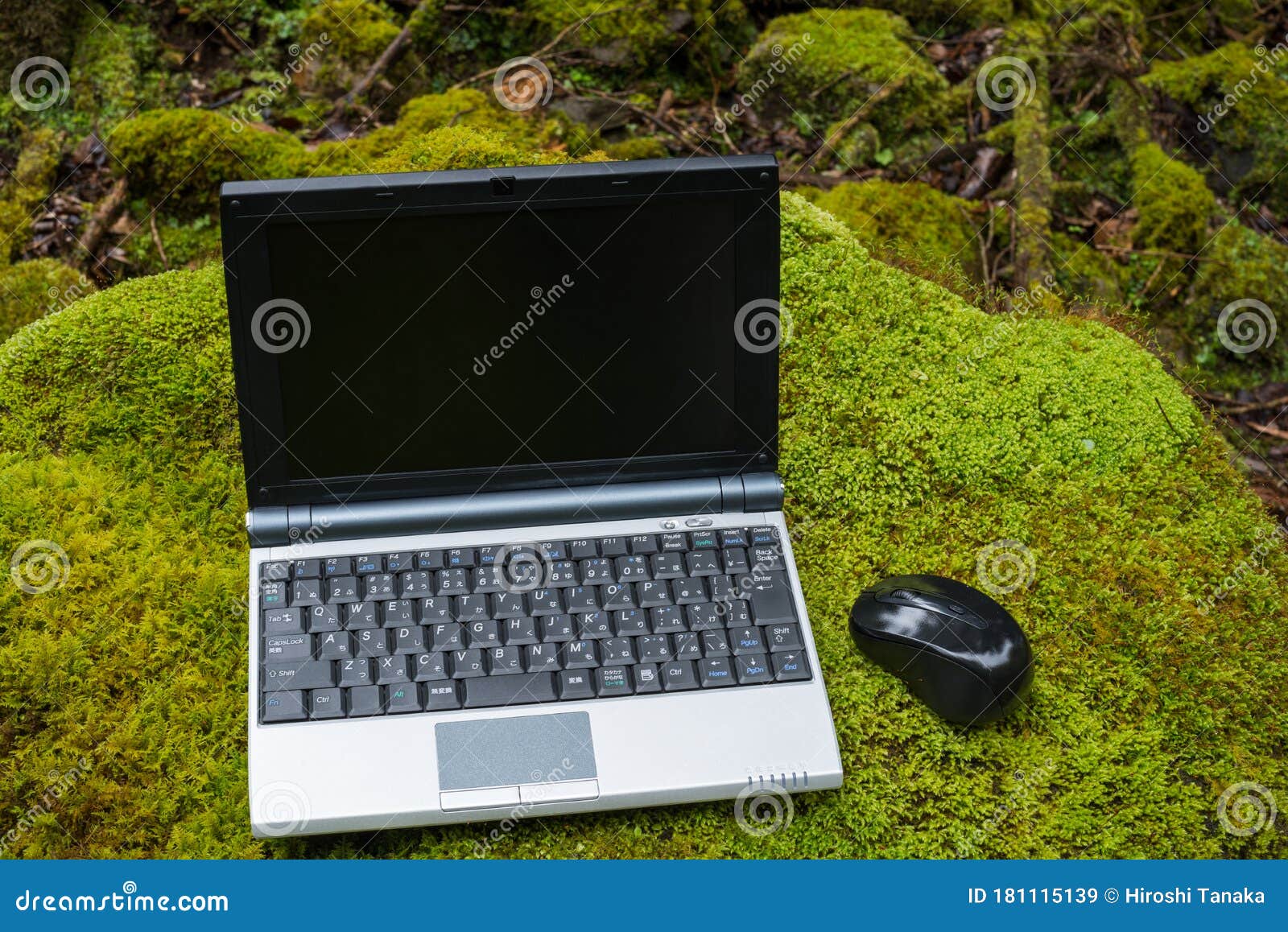 Laptop on a moss stock image. Image of plant, natural - 181115139