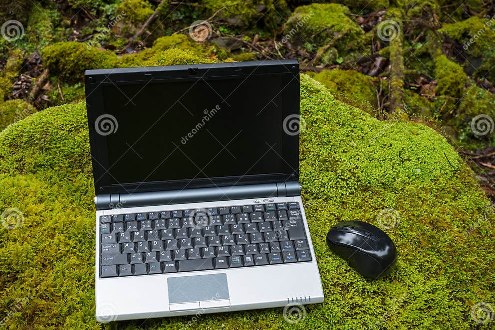 Laptop on a moss stock image. Image of plant, natural - 181115139