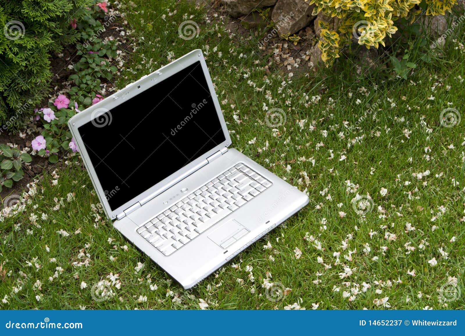 Laptop in nature stock image. Image of communication - 14652237