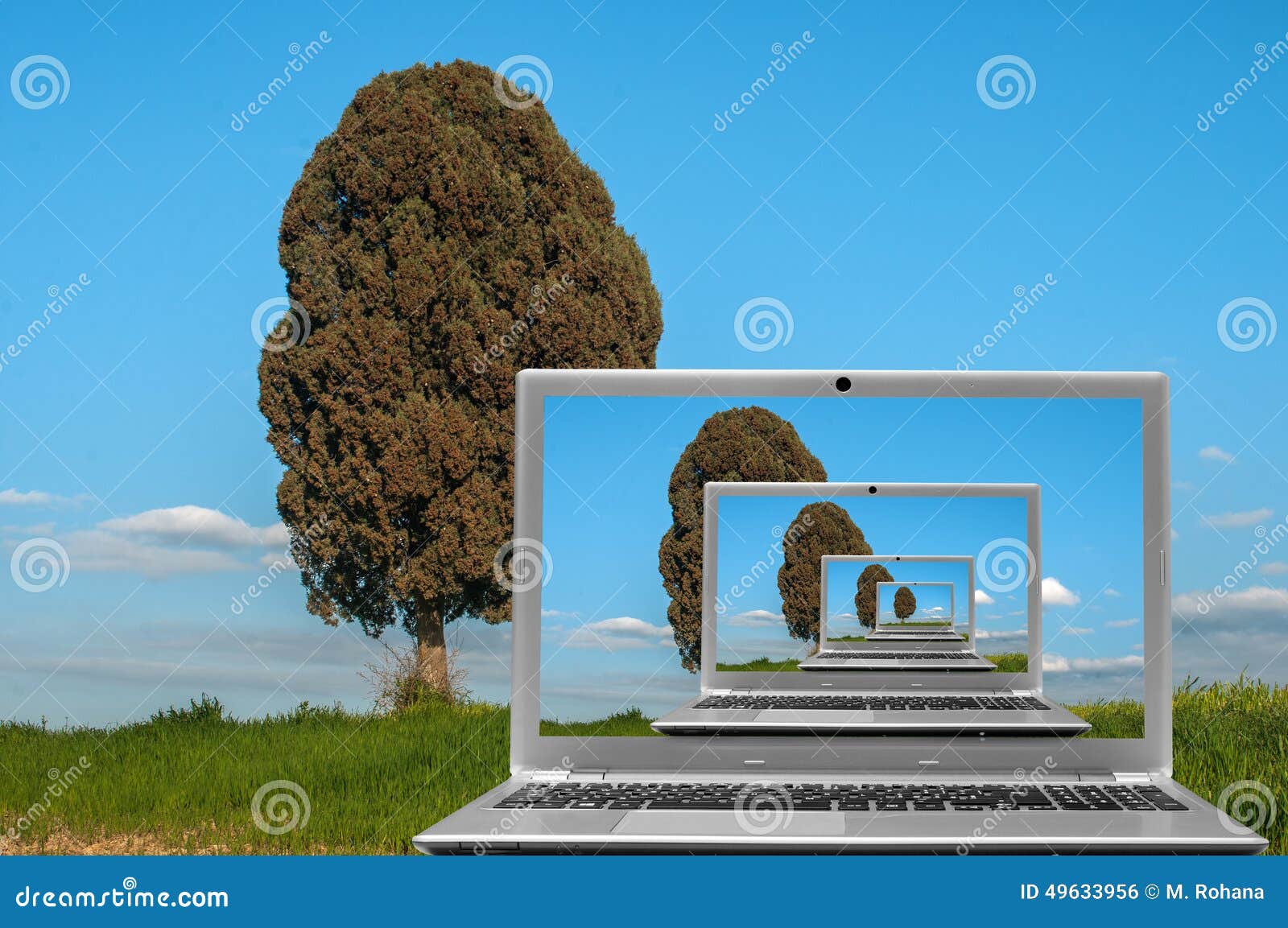 Laptop in nature stock photo. Image of screensaver, telenvision - 49633956