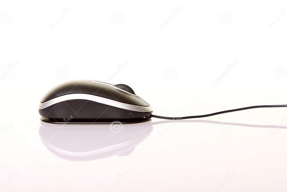 Laptop Optical Wheel Mouse Isolated on a White Stock Photo - Image of ...