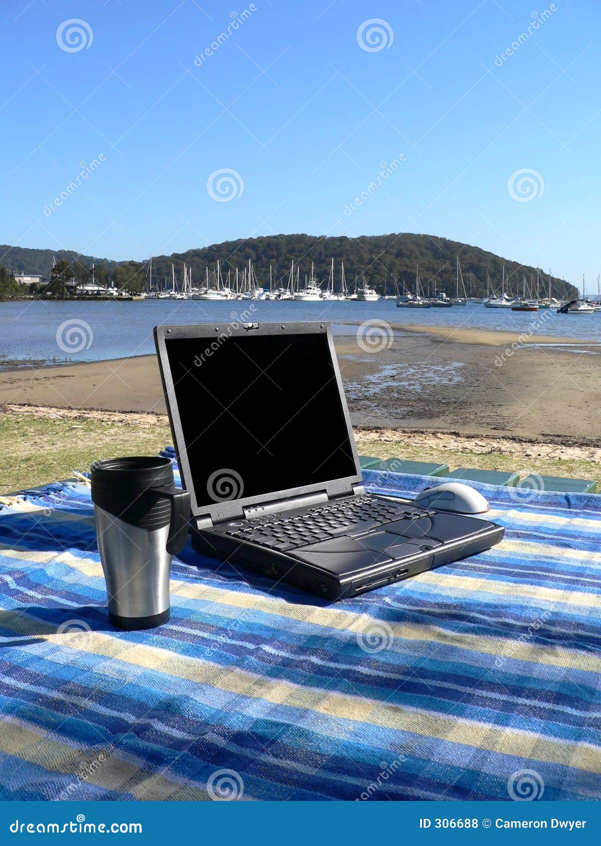 Laptop Picnic stock photo. Image of wireless, nature, picnic - 306688