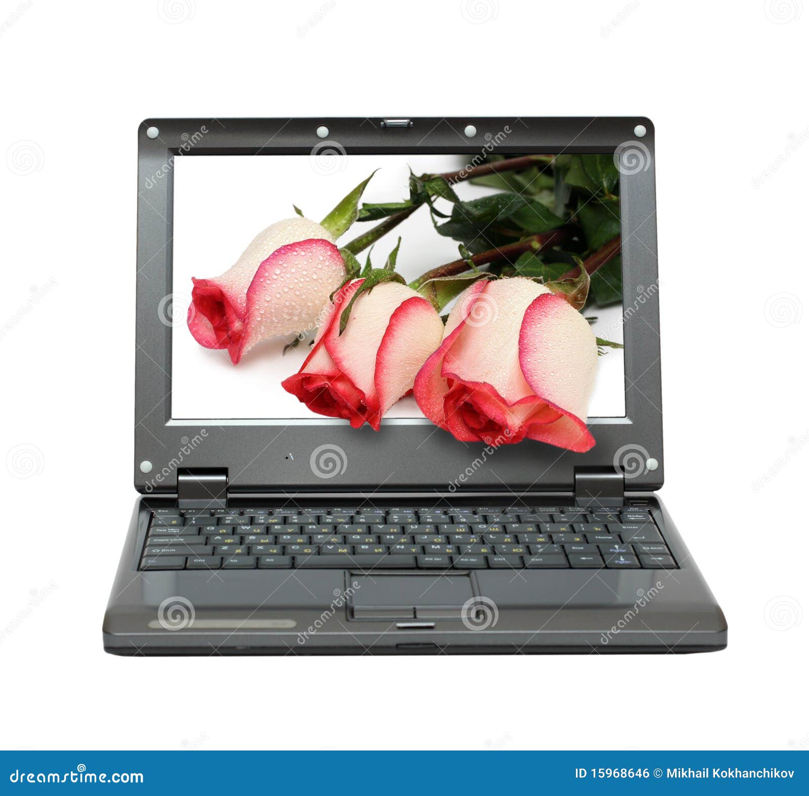 Laptop with roses bouquet stock photo. Image of mobility - 15968646