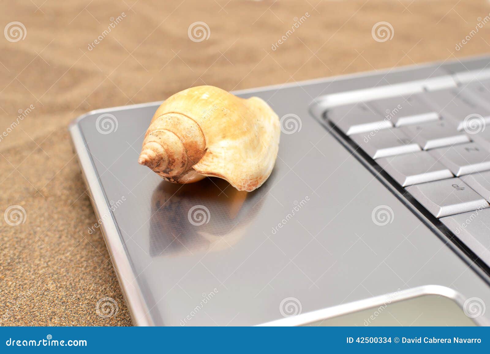 Laptop and shell on sand stock photo. Image of computer - 42500334