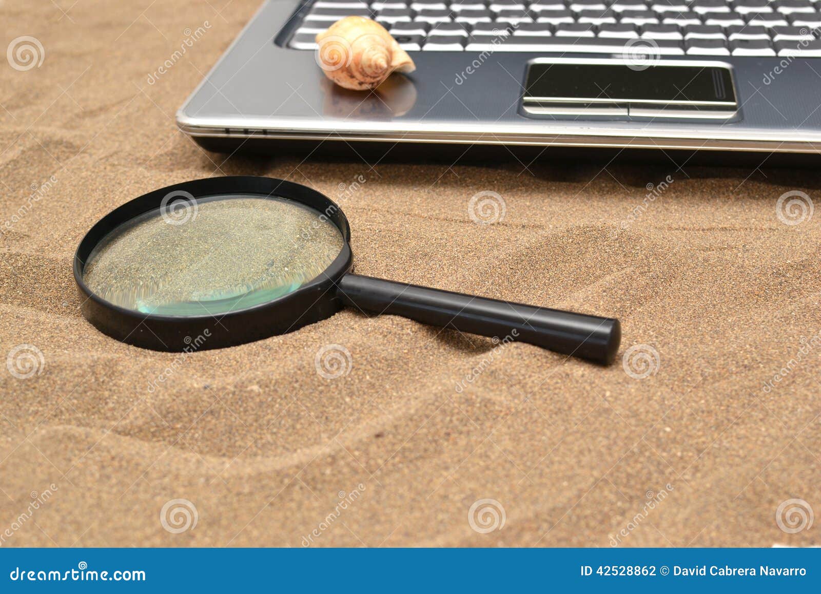 Laptop and shell on sand stock photo. Image of path, bikini - 42528862