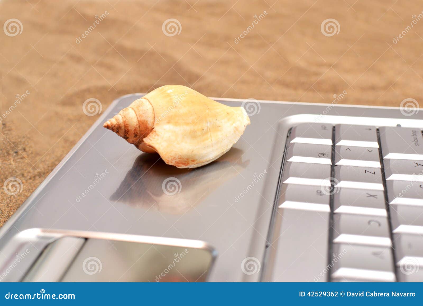 Laptop and shell on sand stock photo. Image of sand, summer - 42529362
