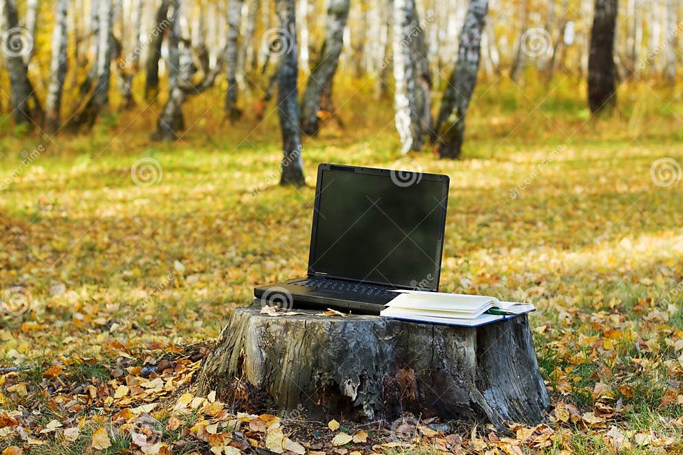 Laptop and Book on the Stump Stock Image - Image of success, notebook ...