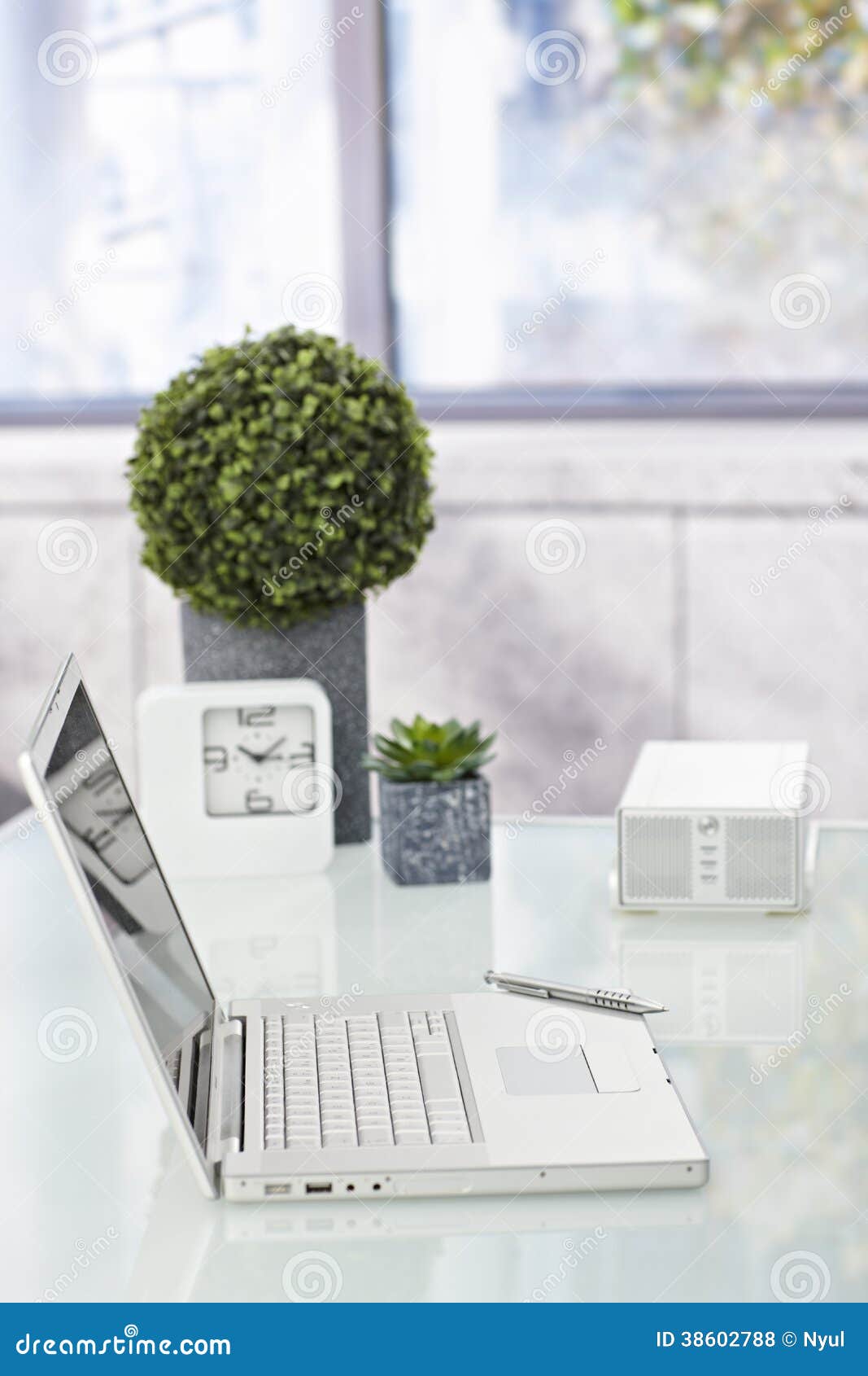 Laptop in tidy desktop stock photo. Image of potted, plants - 38602788