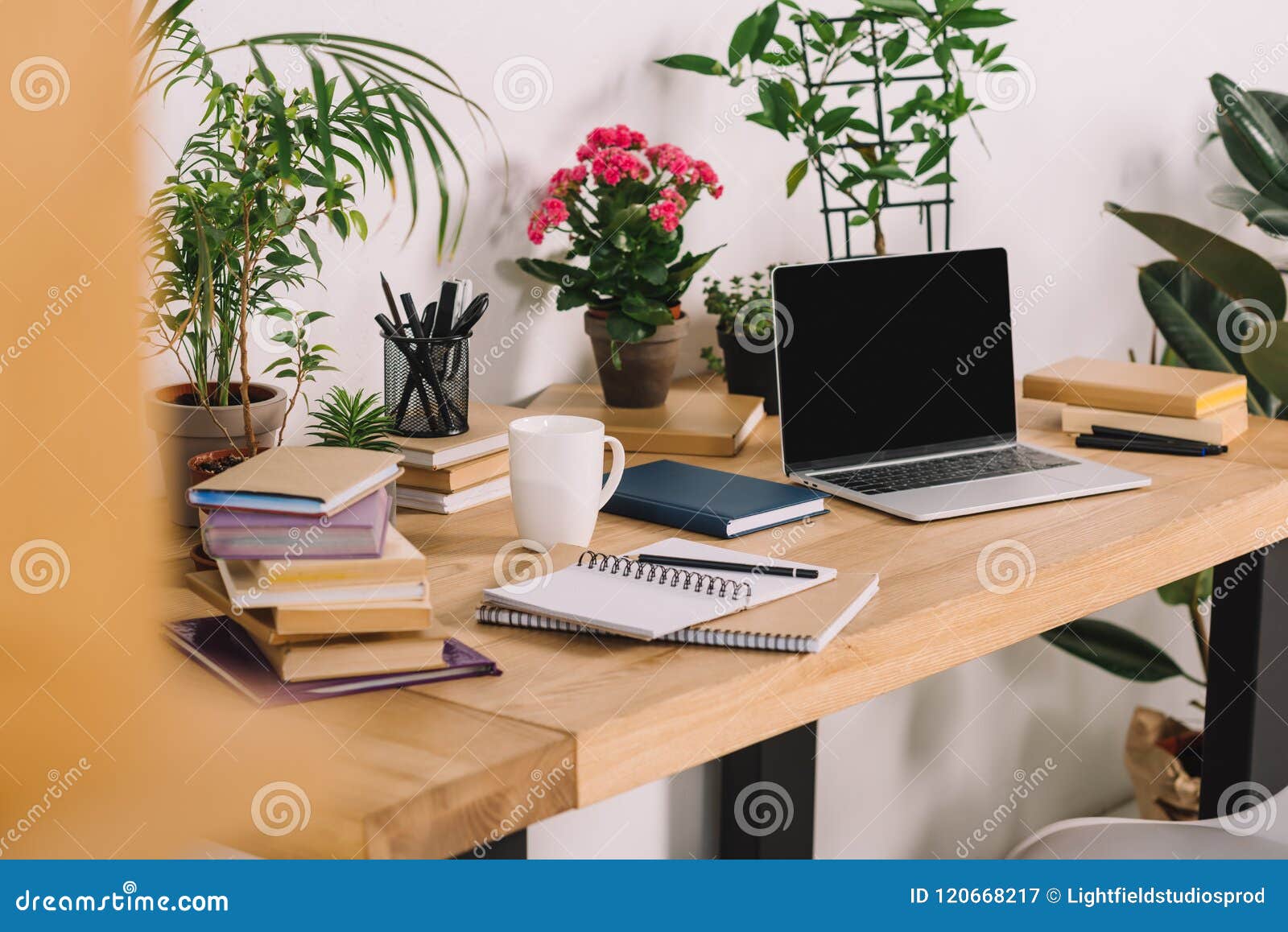 Laptop on Wooden Table with Potted Plants Stock Image - Image of office ...