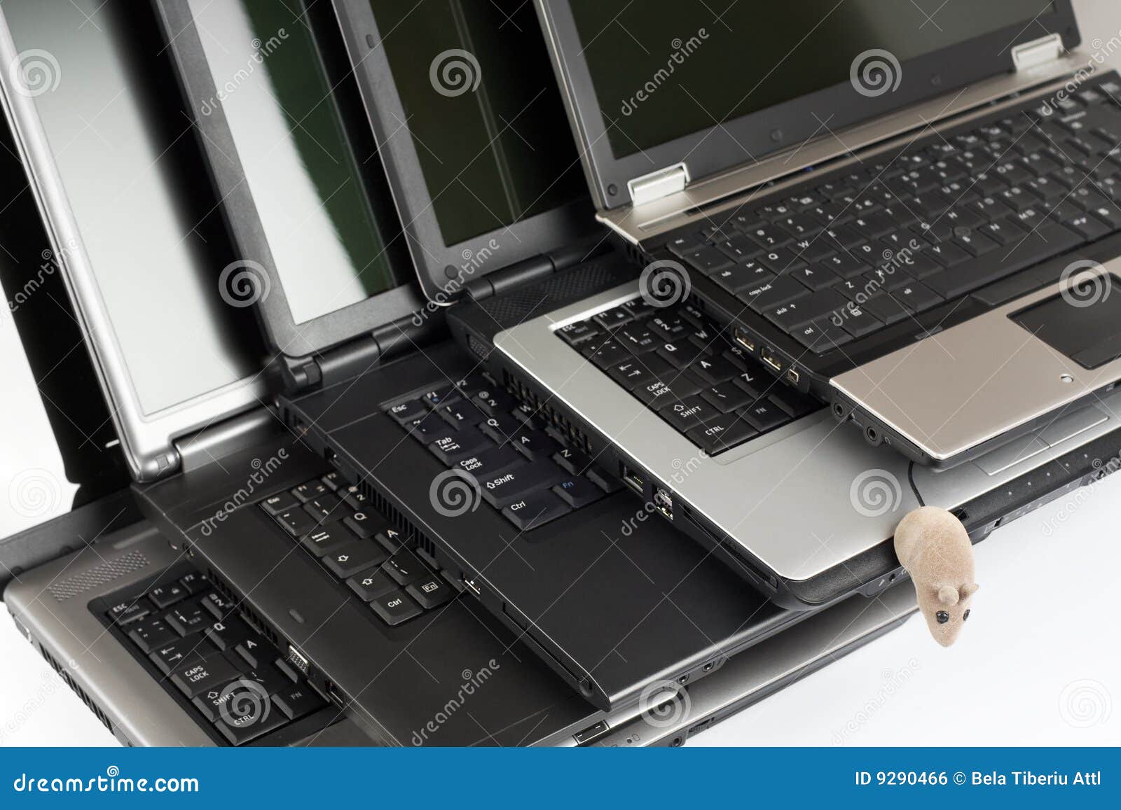 Laptops and mouse stock photo. Image of mouse, computer - 9290466