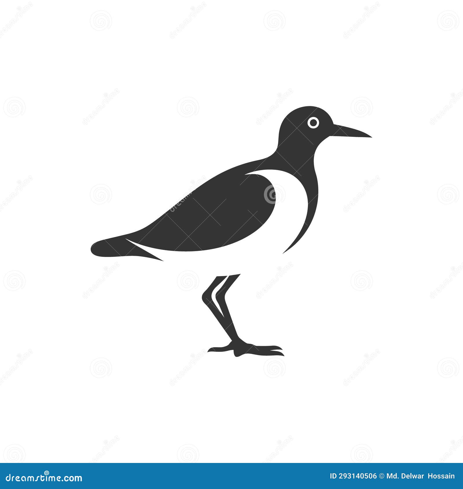 Lapwing bird icon stock vector. Illustration of northern - 293140506