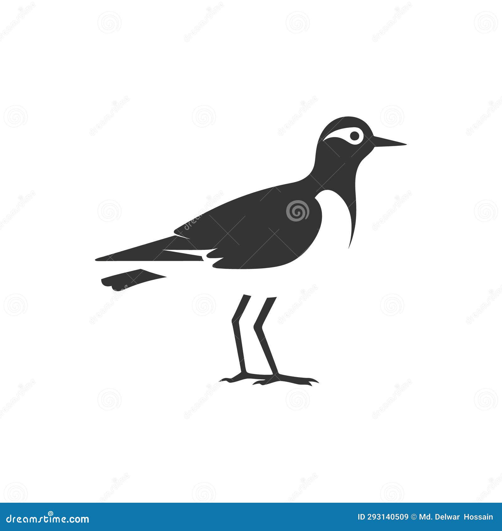Lapwing Bird Ink Illustration. Bird Simple Drawing. Nature Theme ...
