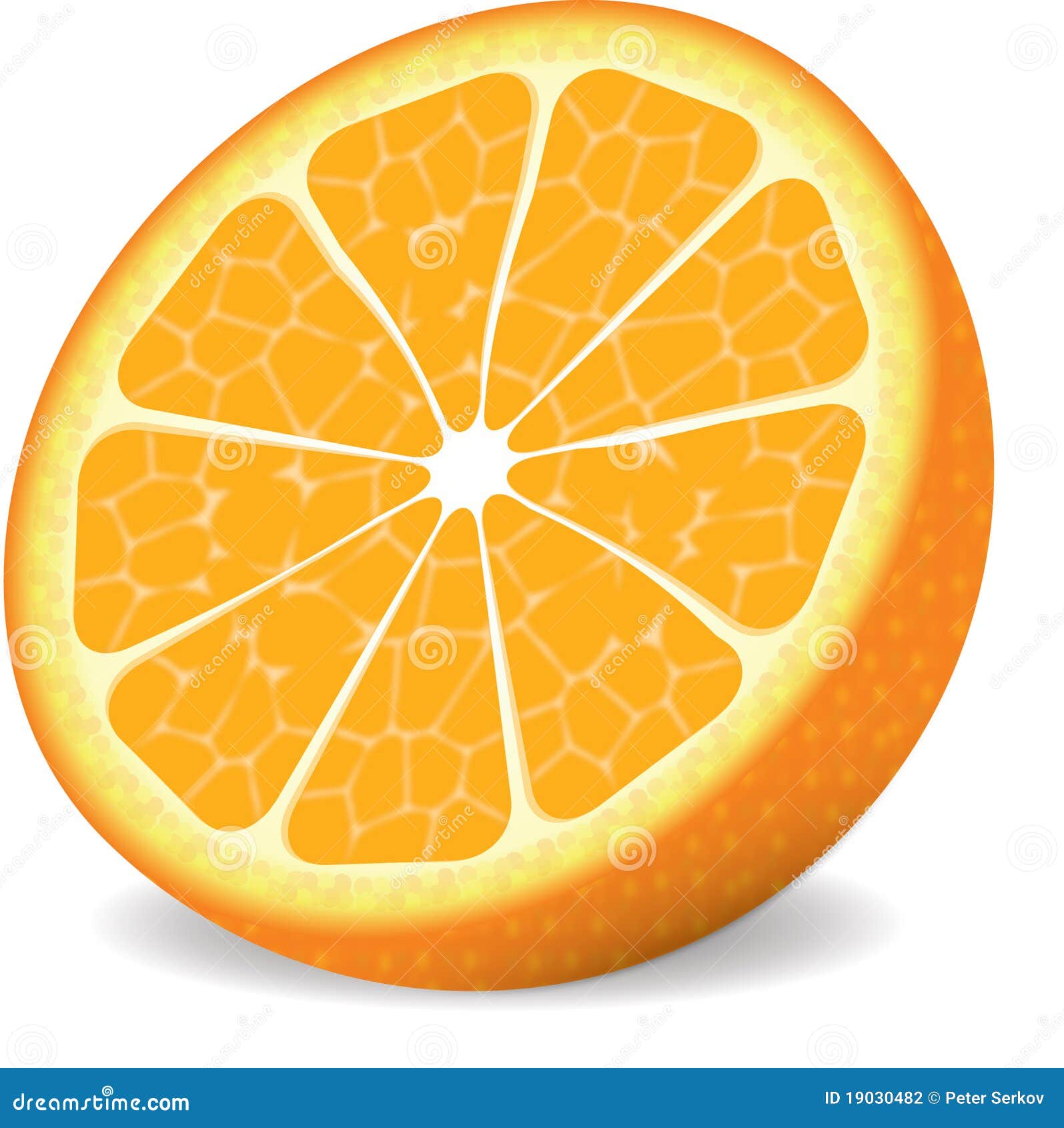 Laranja do vetor ilustração do vetor. Ilustração de doce - 19030482