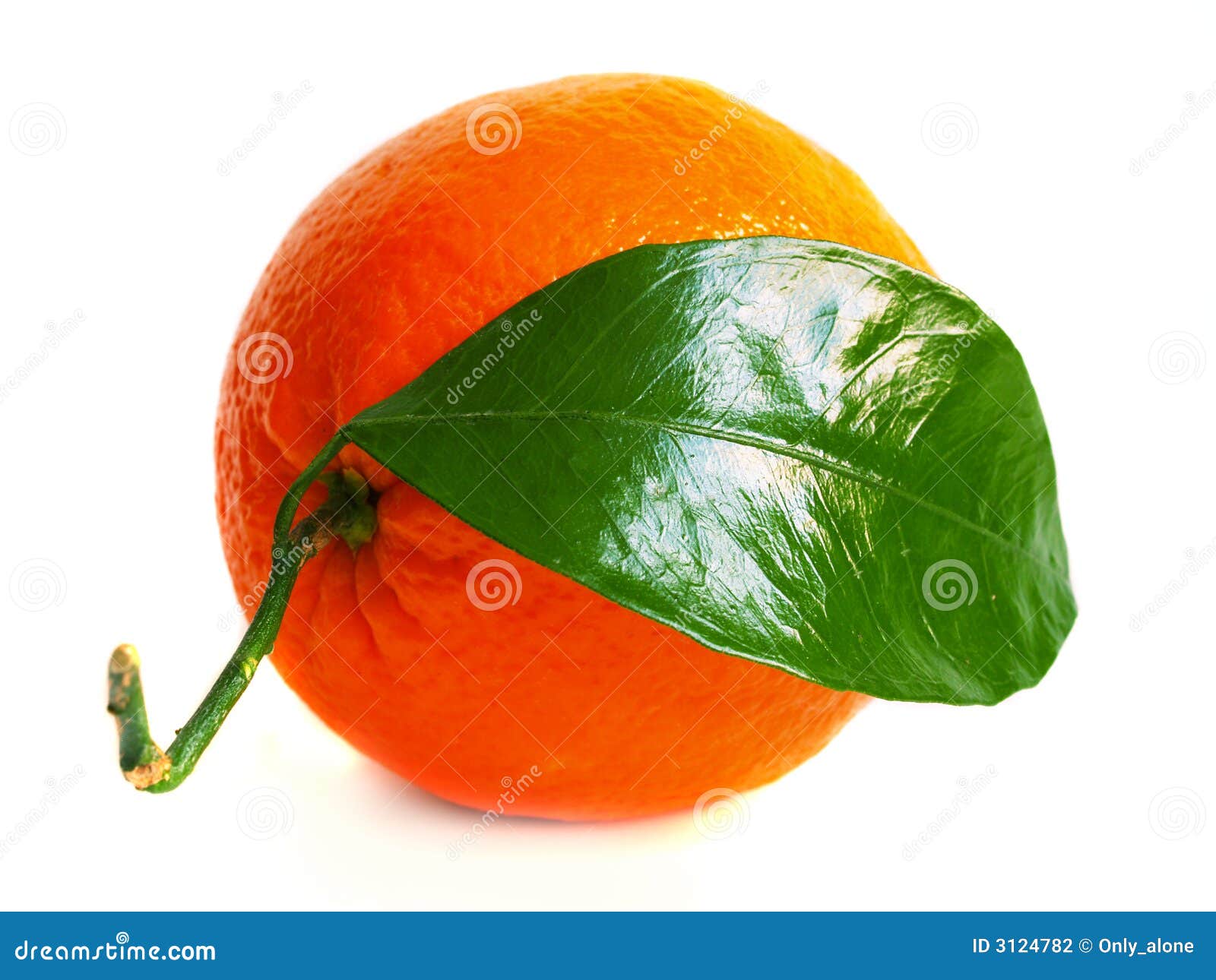 Laranja grande com folha foto de stock. Imagem de ingrediente - 3124782