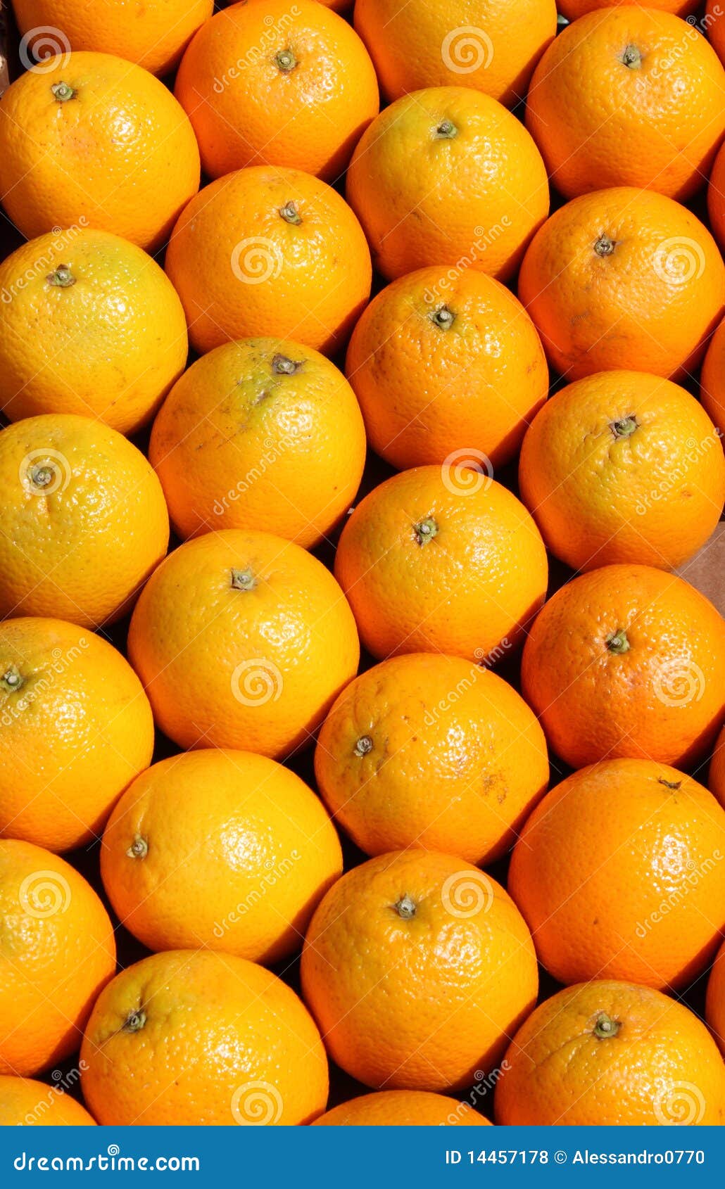 Laranjas foto de stock. Imagem de regular, suculento - 14457178