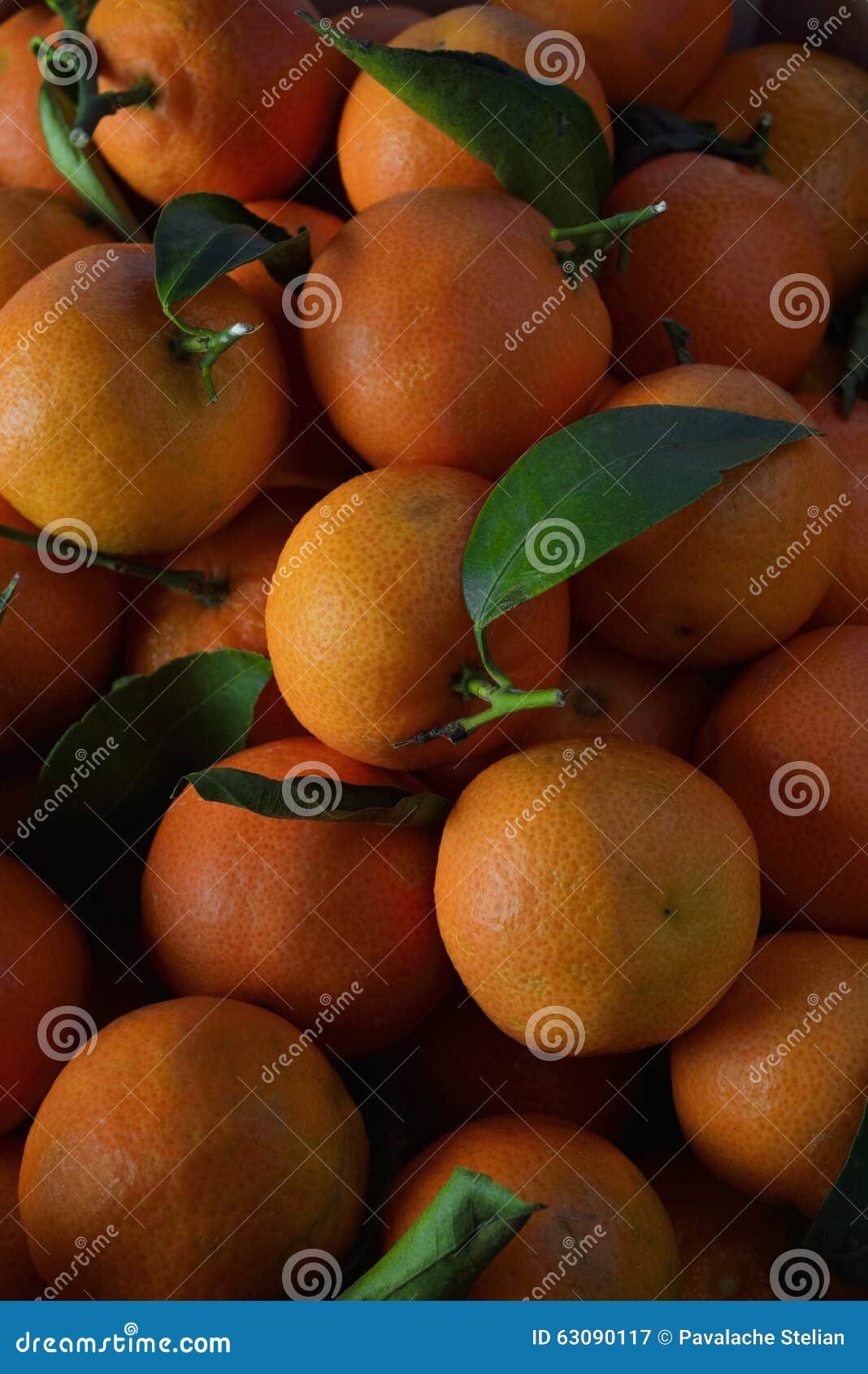 Laranjas imagem de stock. Imagem de folheia, mercado - 63090117