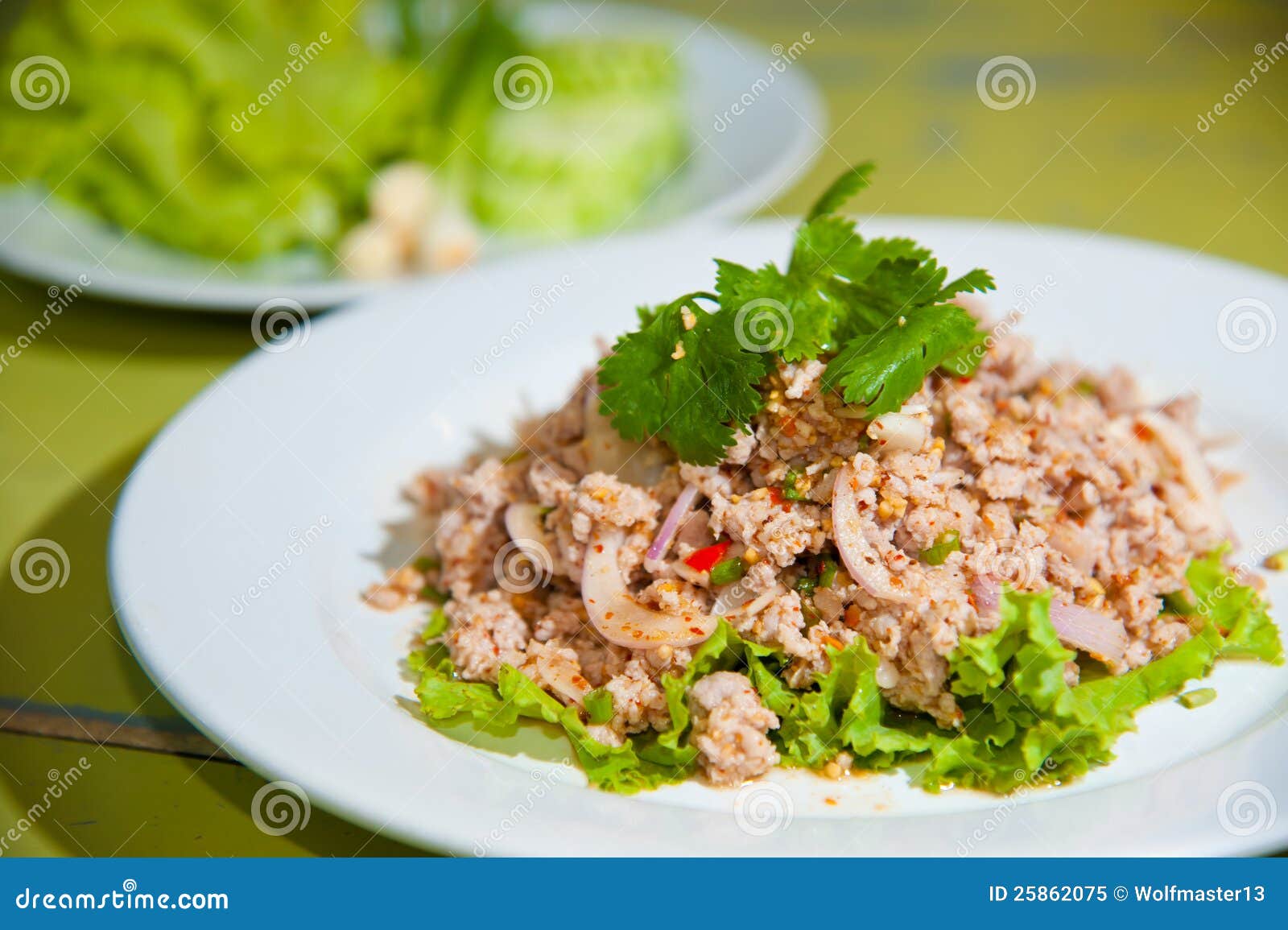 Larb chicken salad. stock image. Image of ingredient - 25862075