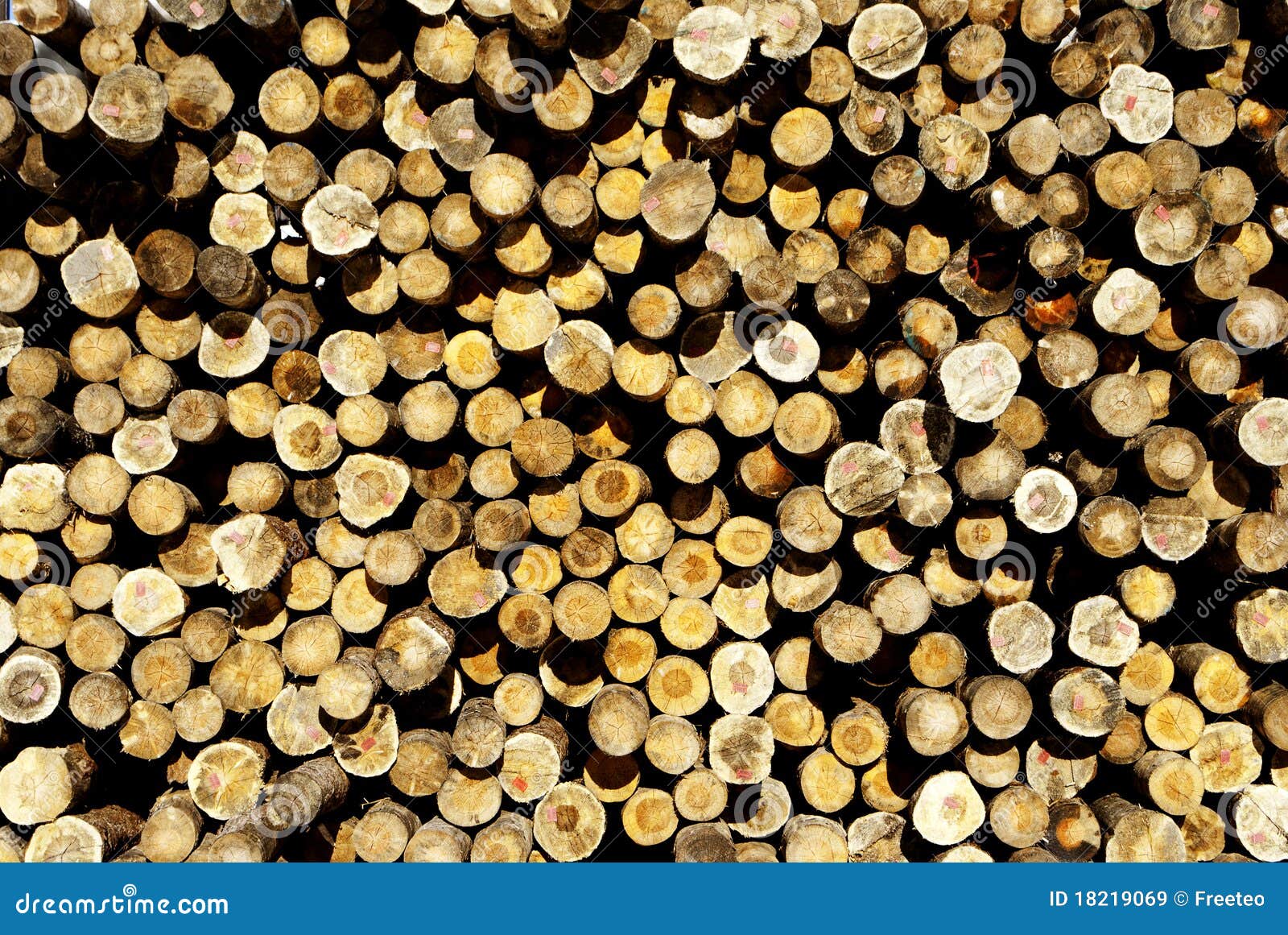 Larch logs stock image. Image of heap, keeping, timber - 18219069