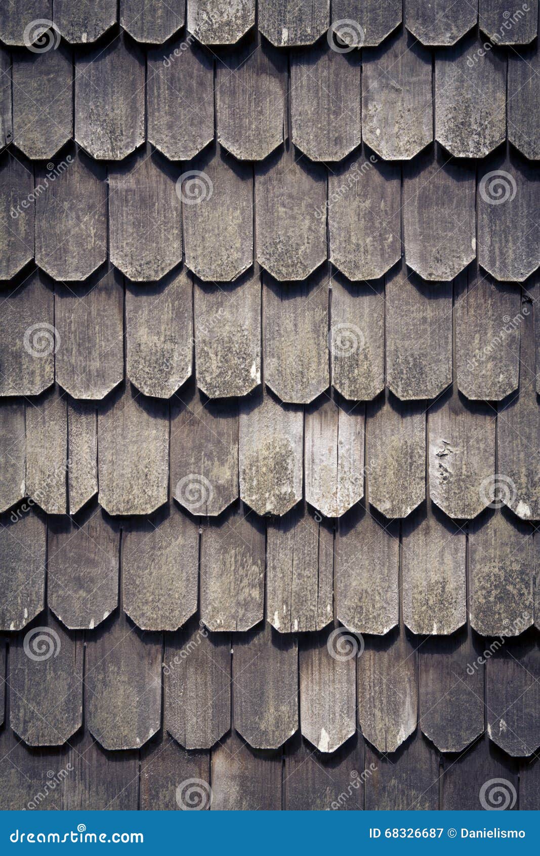 Larch Shingles in Chiloe, Chile. Stock Image - Image of latinamerica ...