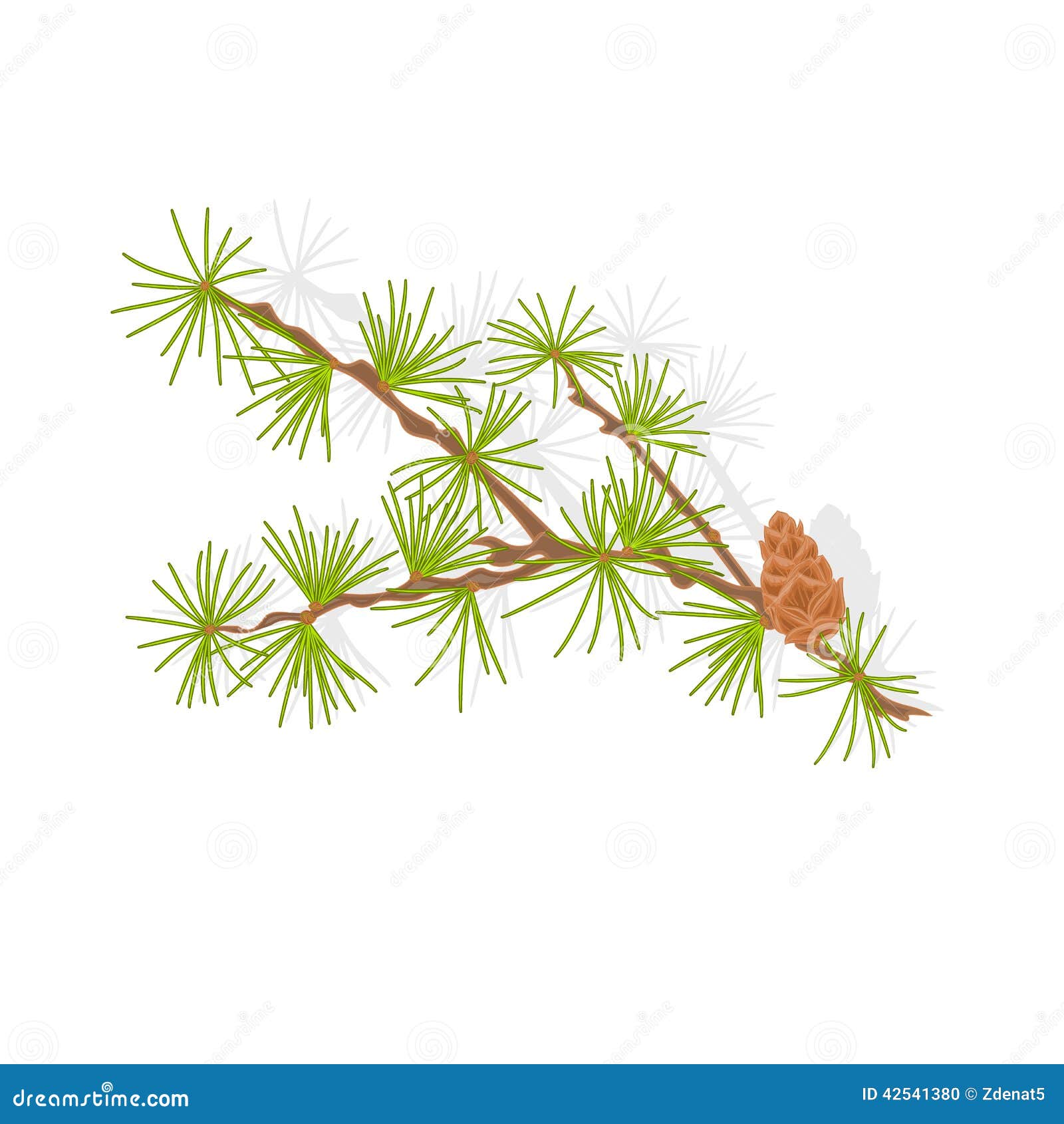 Larch Tamarack Branch Vector Illustration Stock Vector - Illustration ...