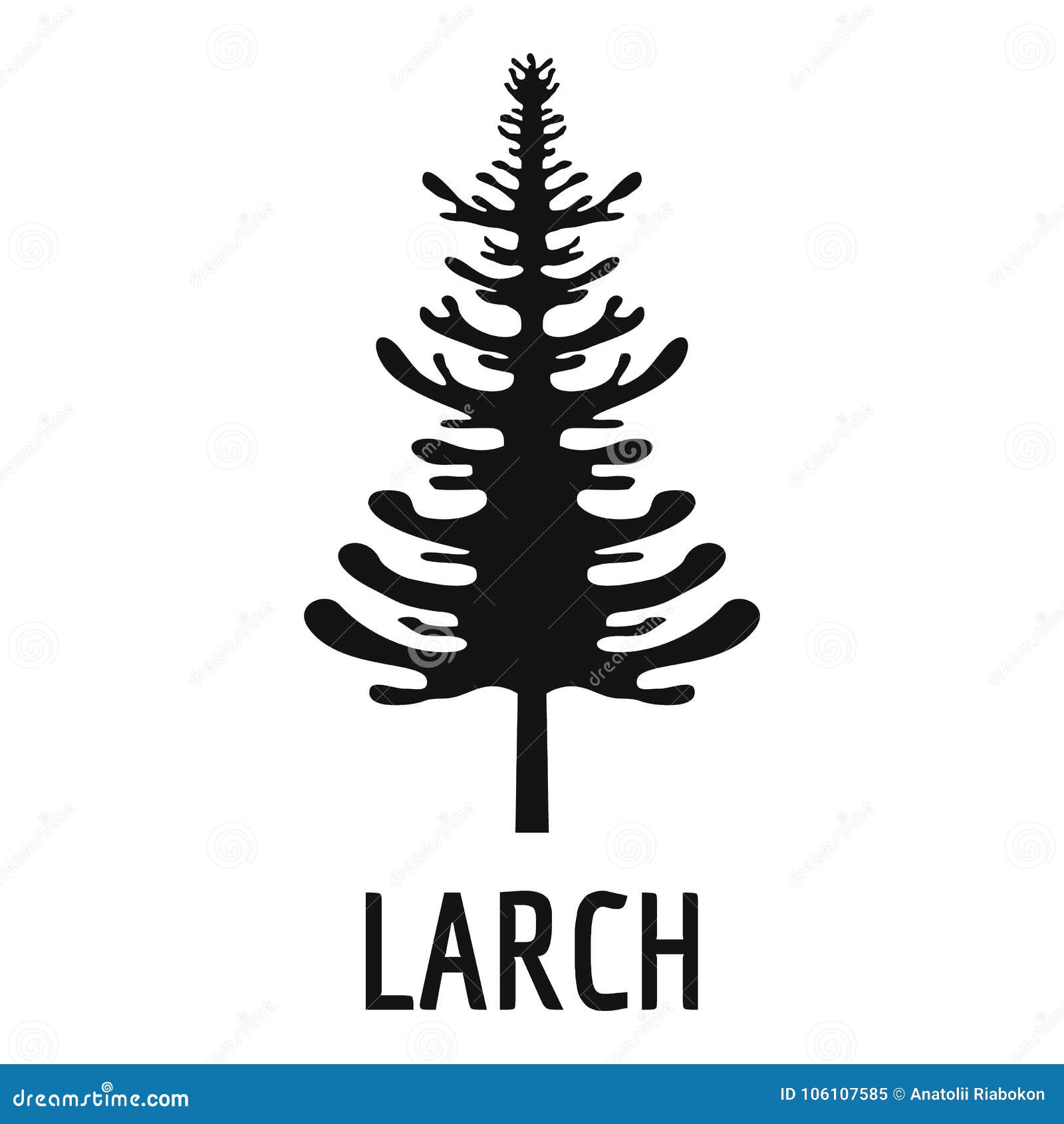 Larch Tree Drawing, Larix Decidua Royalty-Free Stock Photography ...