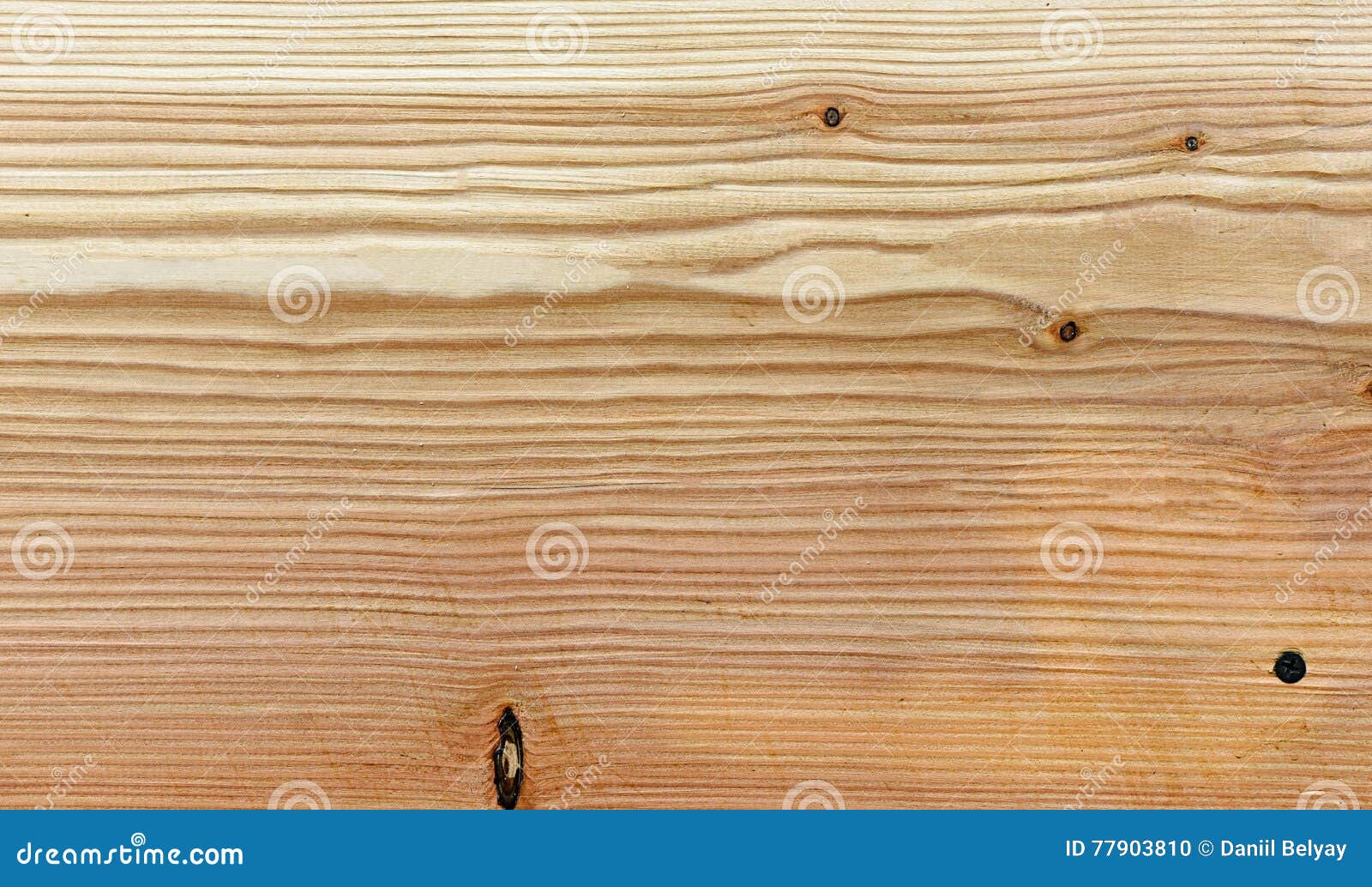 Larch Tree - Natural Wooden Texture Stock Photo - Image of grain, board ...