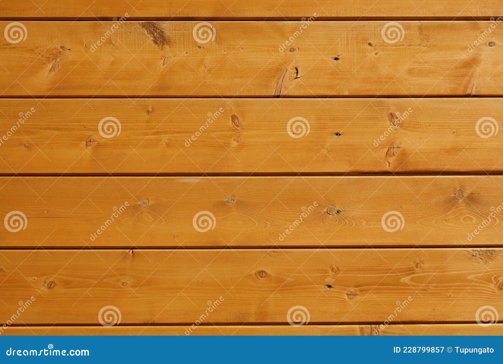 Larch wood texture stock image. Image of rustic, wood - 228799857