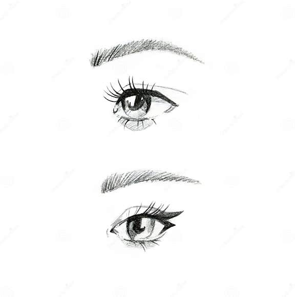 Largas Pestañas Y Cejas De Los Hermosos Ojos Dibujo A Lápiz Corregido El Ejemplo Exhausto De