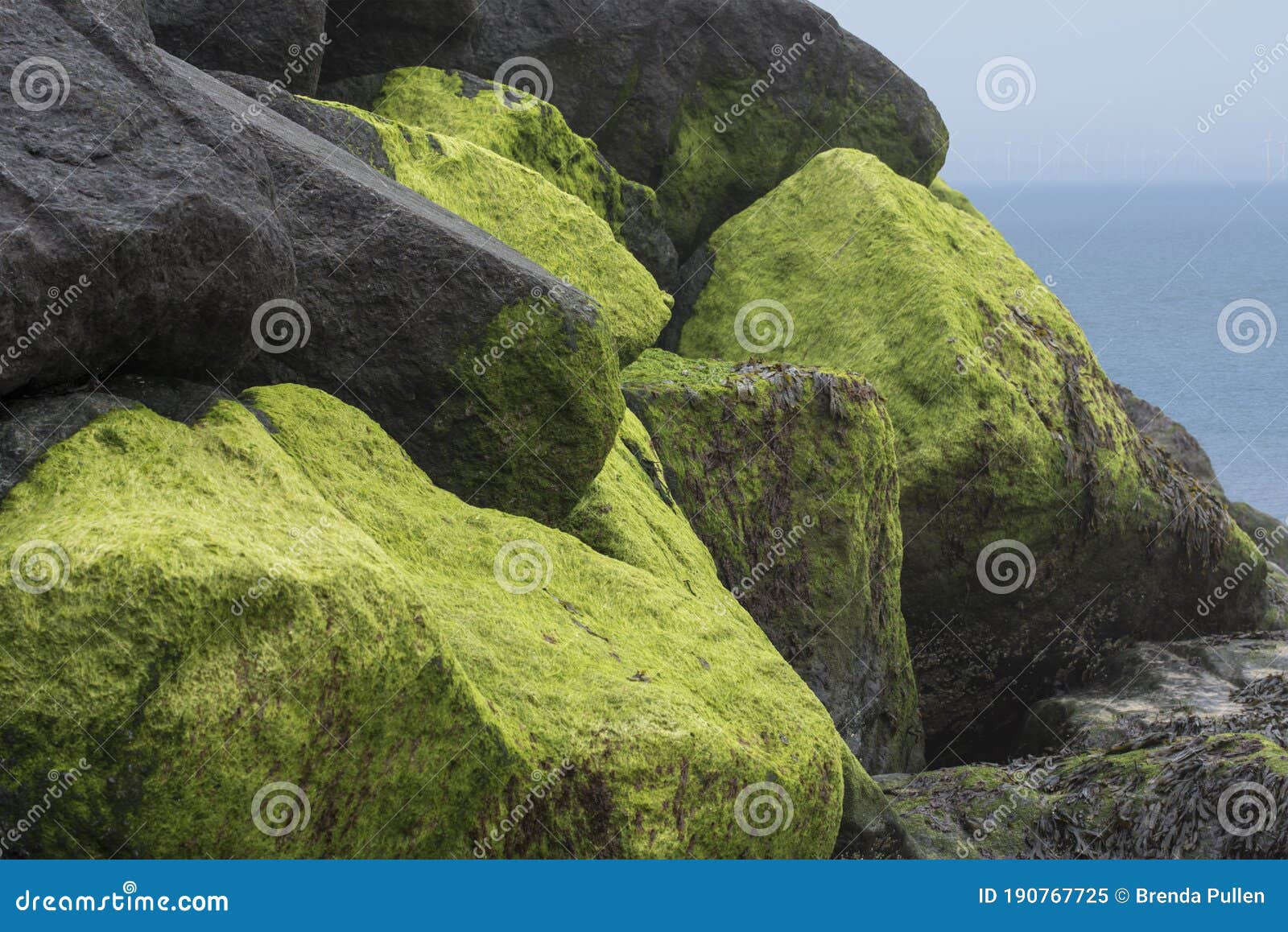 Large Algae Covered Black Boulders As a Sea Defence Stock Image - Image ...