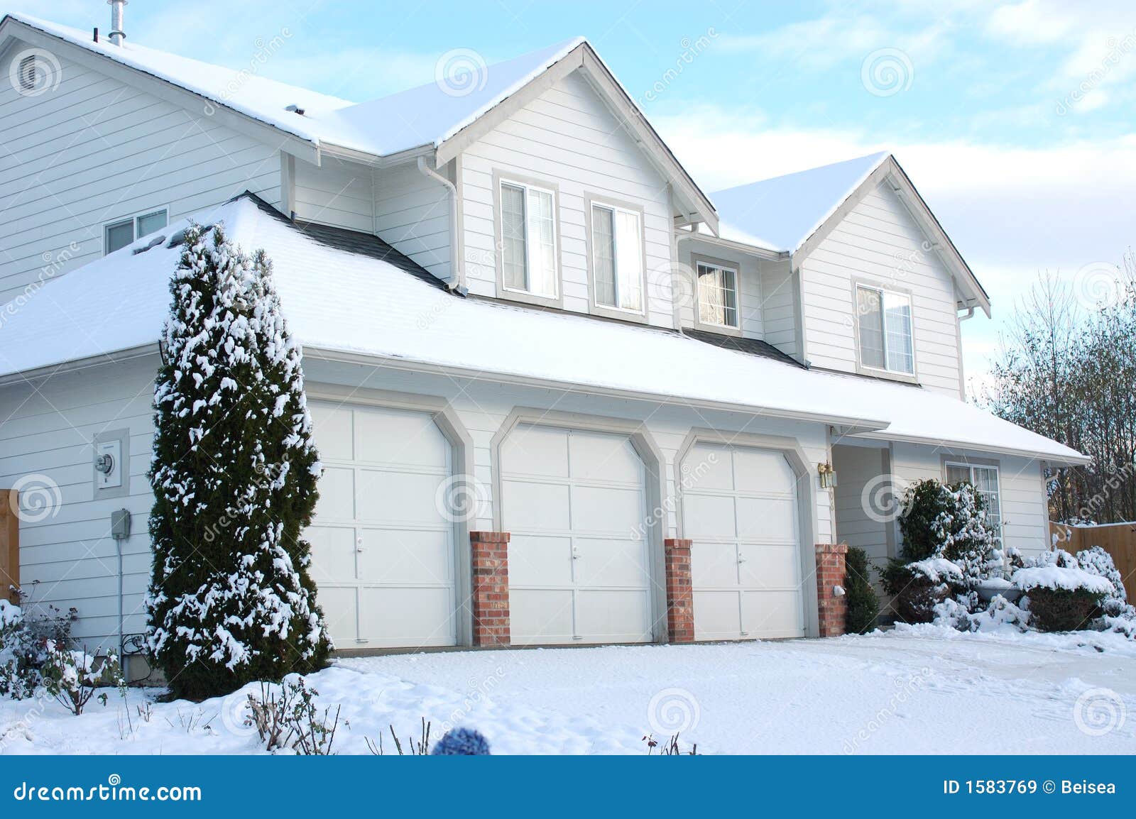 Large American House stock image. Image of tree, park - 1583769