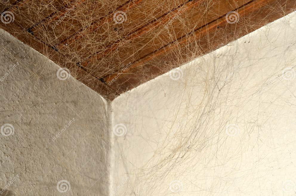 Large Amount of Cobwebs Filled with Dust Under a Ceiling Stock Image ...