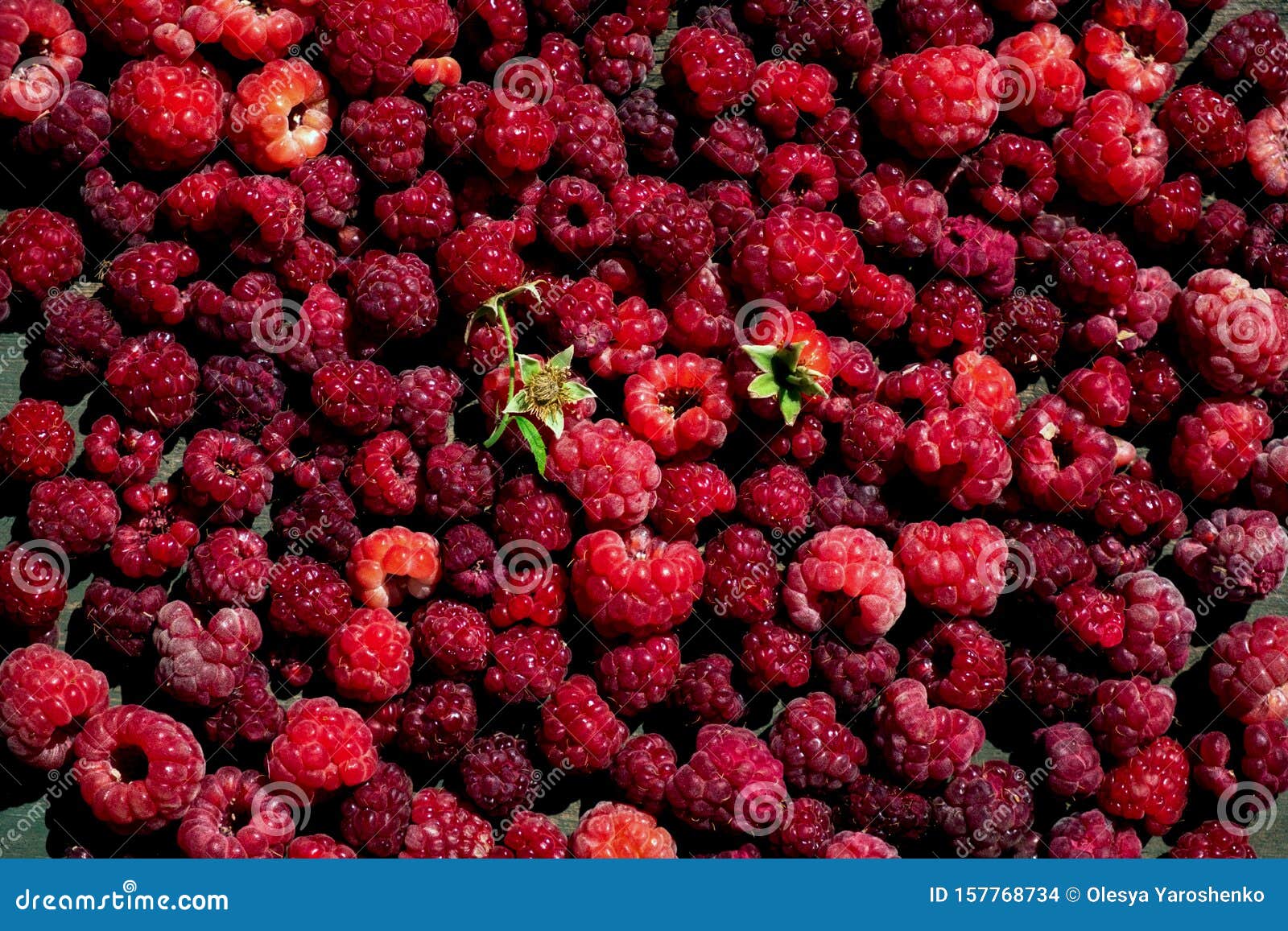 A Large Amount of Raspberries is Scattered on the Table. Stock Photo ...