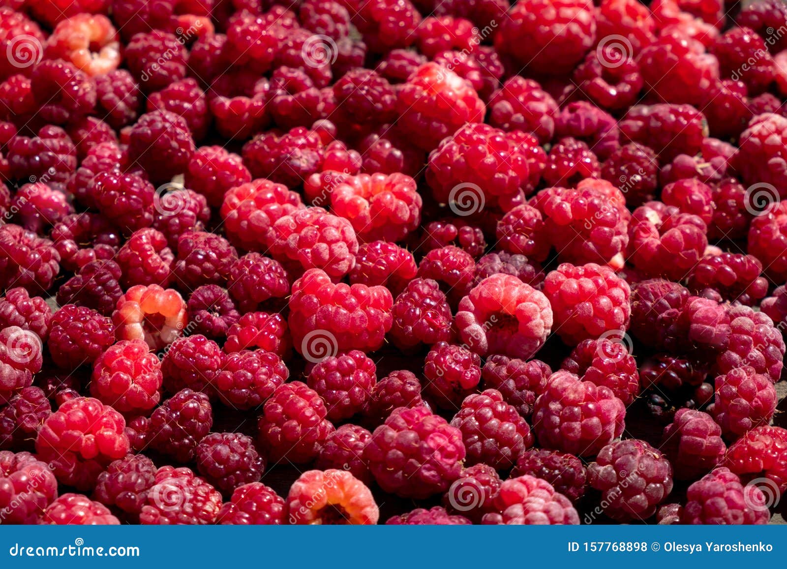 A Large Amount of Raspberries is Scattered on the Table. Stock Photo ...