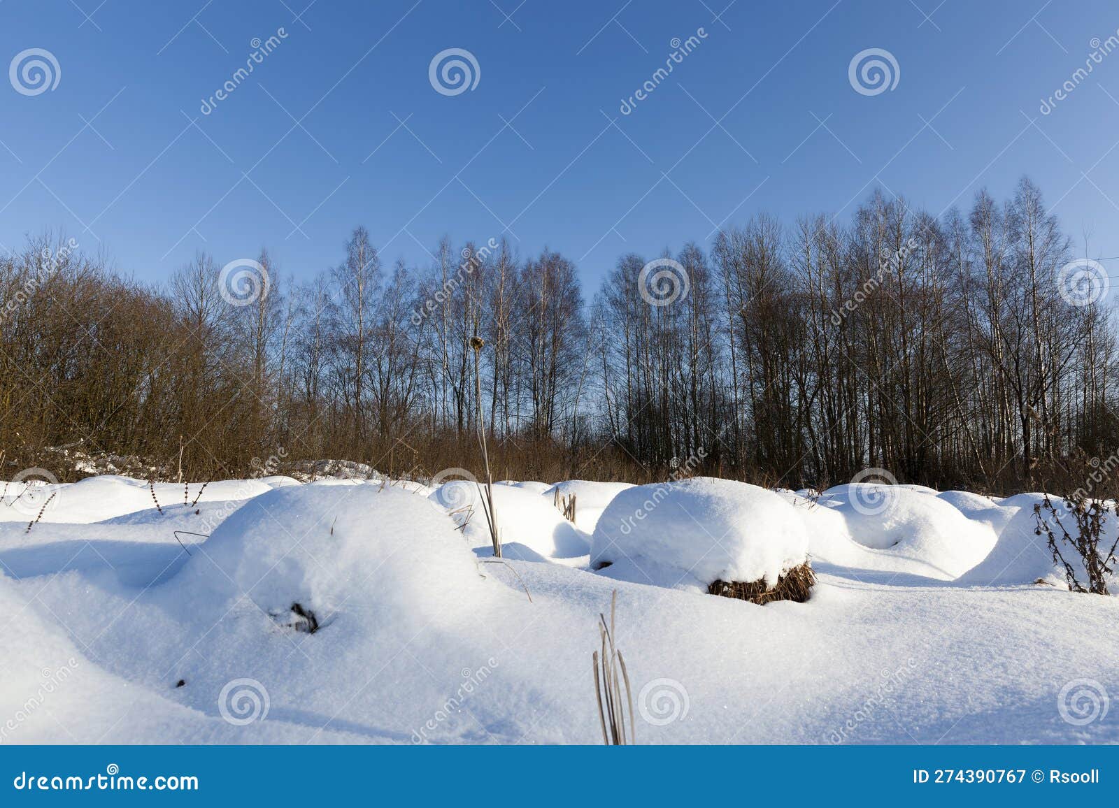 A Large Amount of Snow in Snowdrifts in Winter Stock Image - Image of ...
